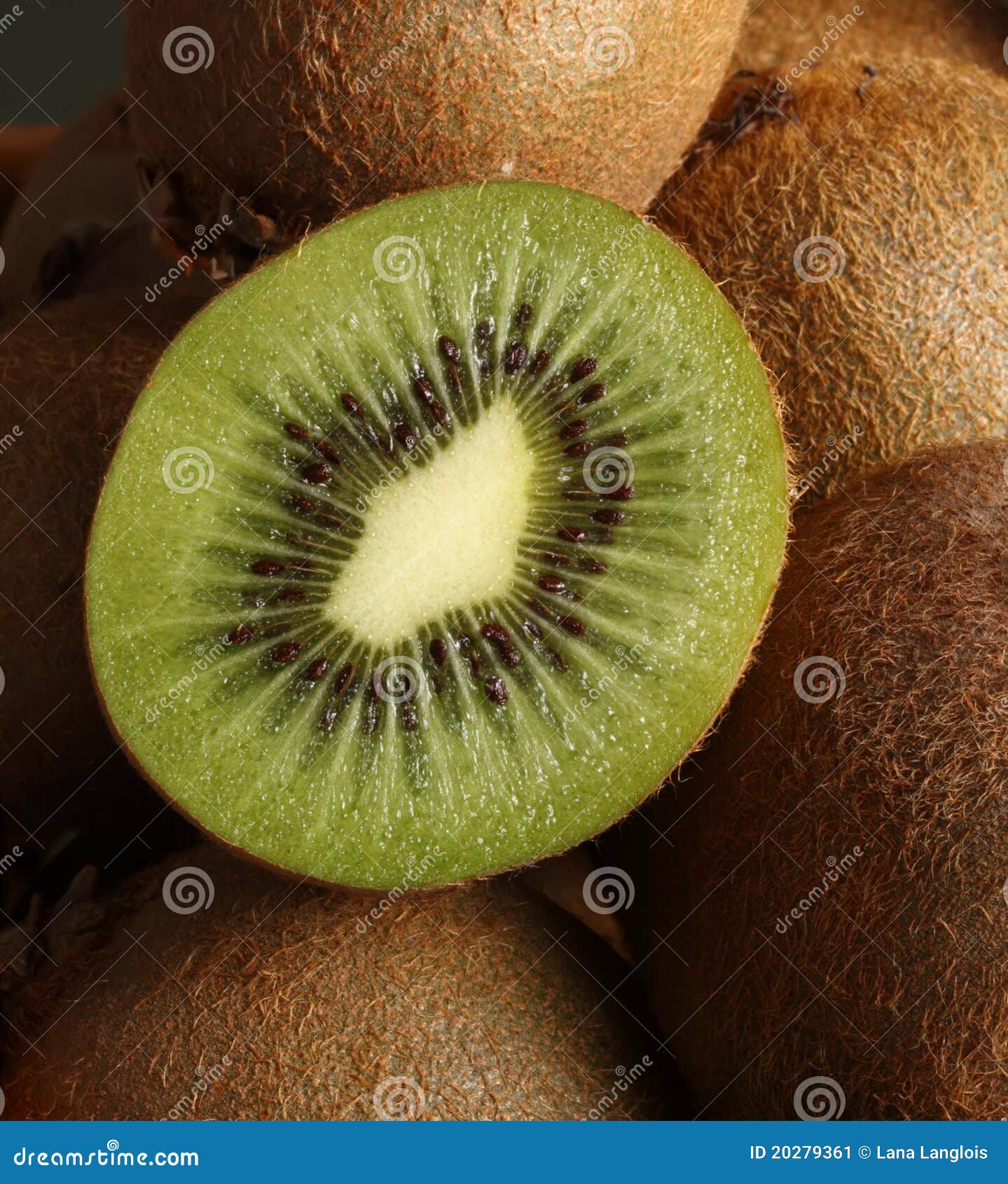 Fresh kiwi stock image. Image of healthy, green, kiwi - 20279361