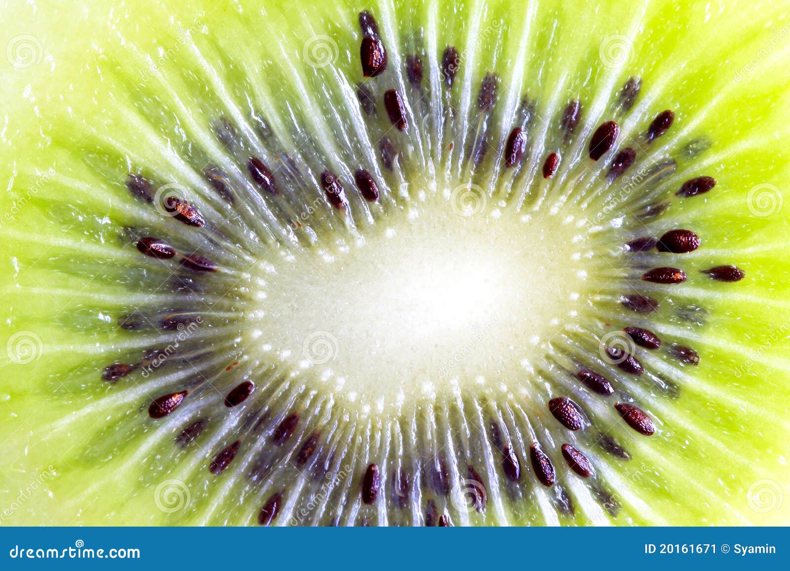 Fresh kiwi fruit stock image. Image of tasty, nature - 20161671