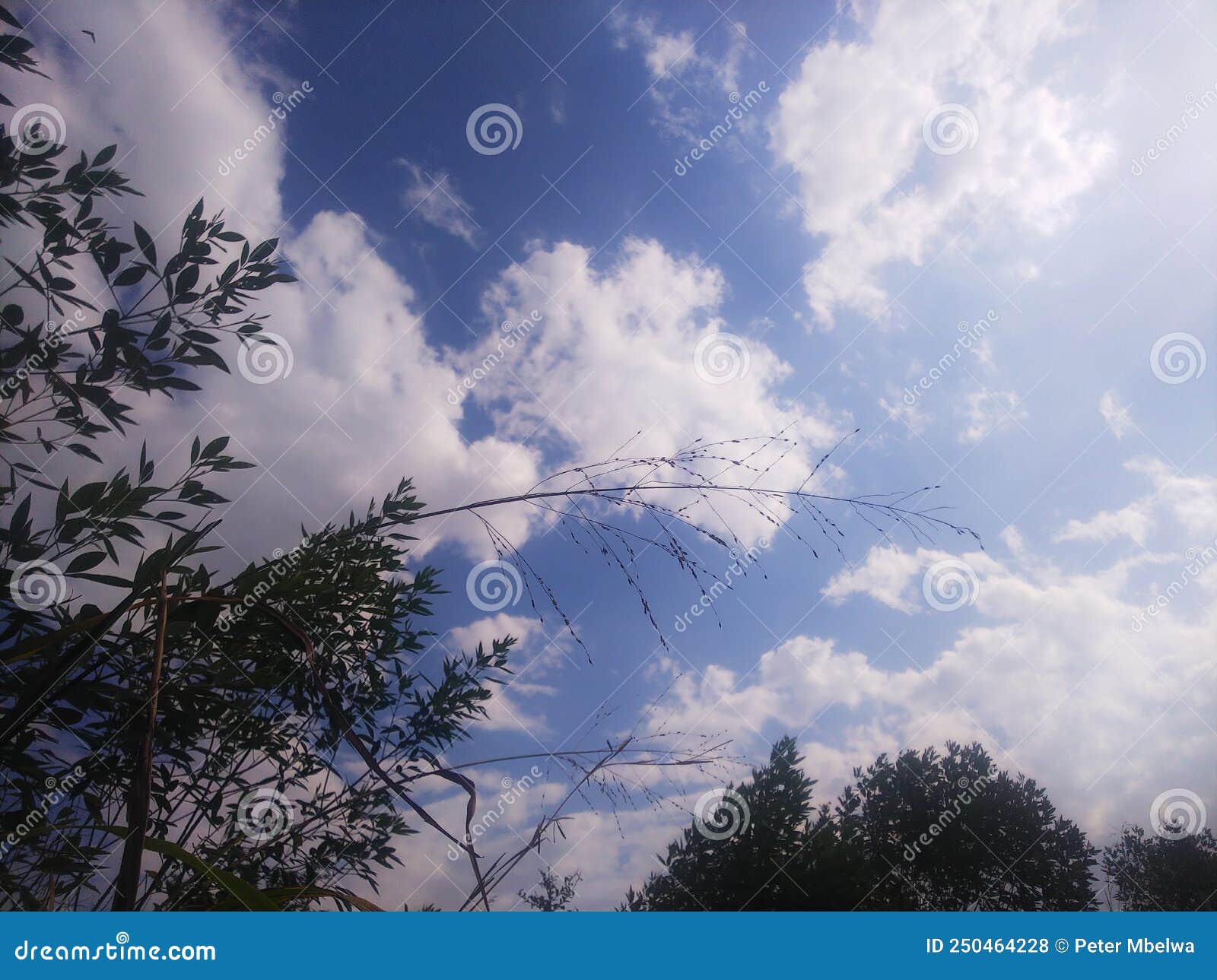 Fresh land of heaven stock photo. Image of reflection - 250464228