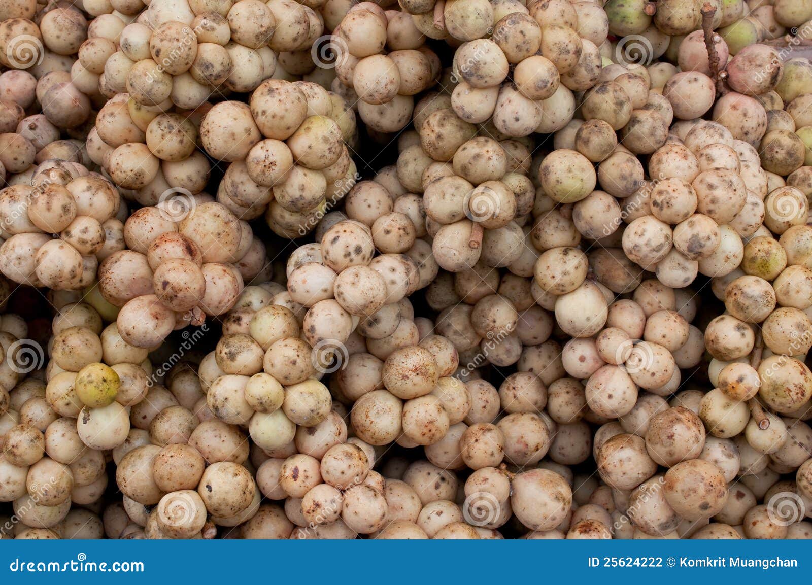 Fresh Lansium Domesticum (Longkong) Stock Photo - Image of food, diet ...