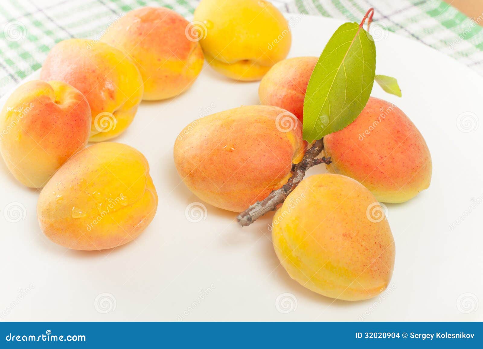 Fresh large apricot stock photo. Image of beautiful, food - 32020904