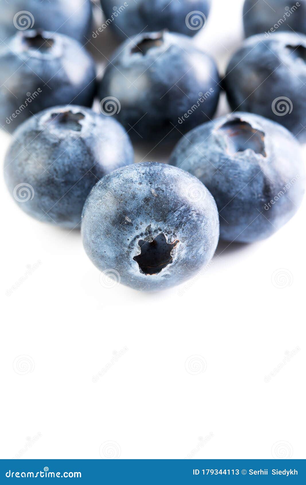 Fresh large blueberry stock image. Image of darkly, isolate - 179344113