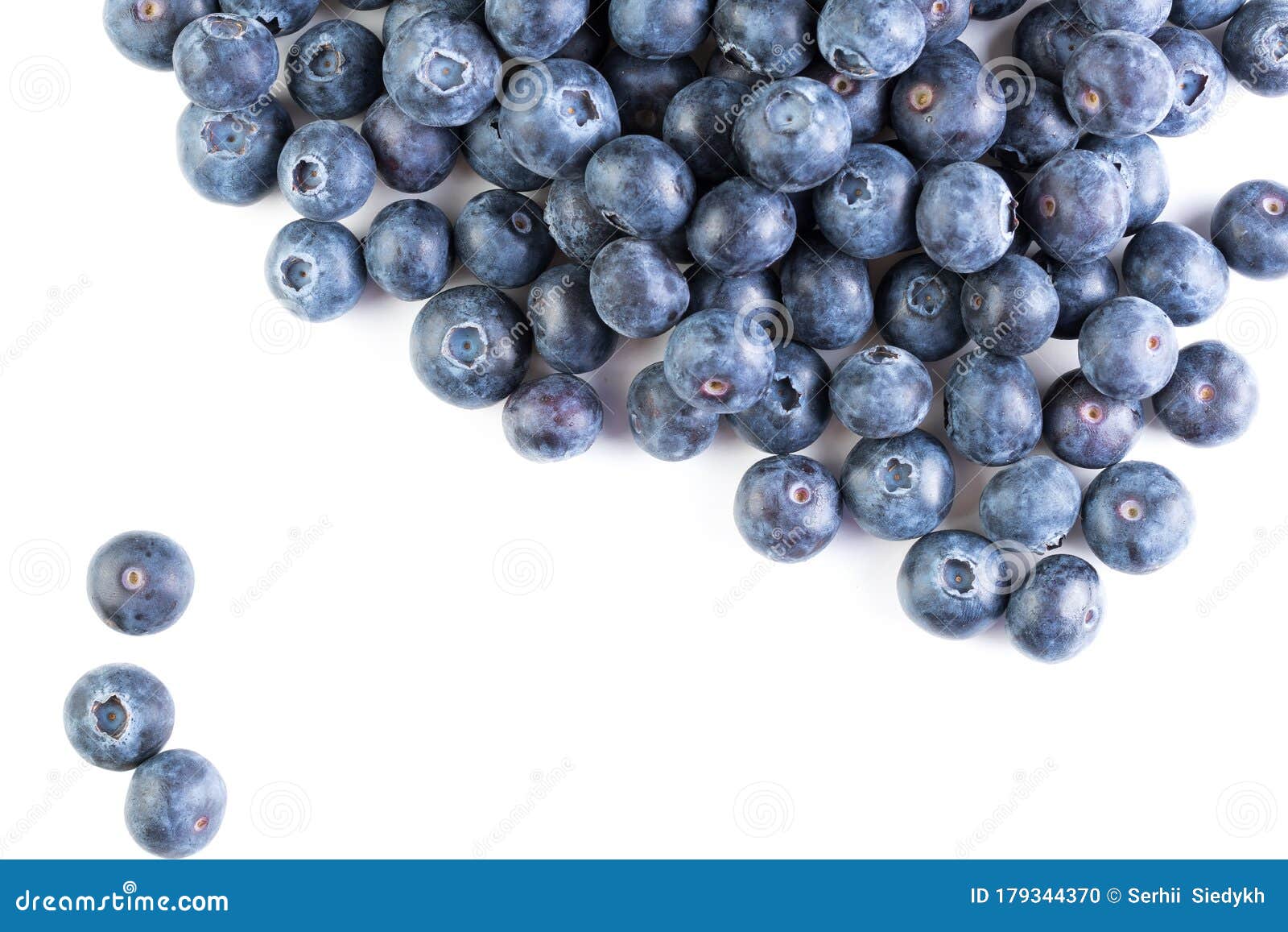 Fresh large blueberry stock photo. Image of dark, darkly - 179344370