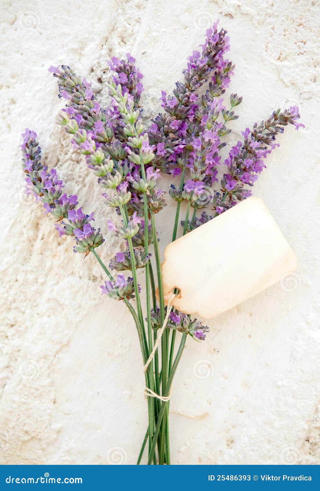 Fresh lavender stock image. Image of retro, yellow, card - 25486393