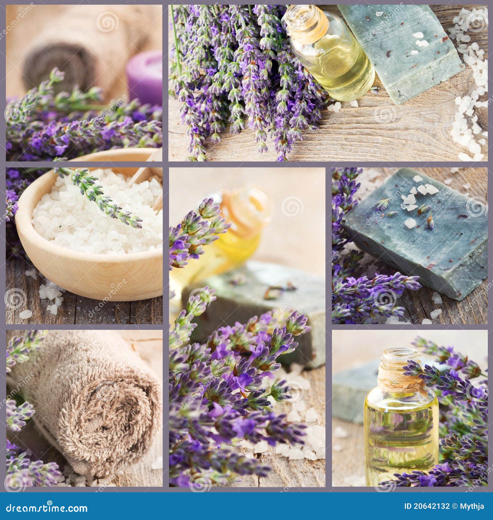 Lavender Collage Stock Photography | CartoonDealer.com #25681004