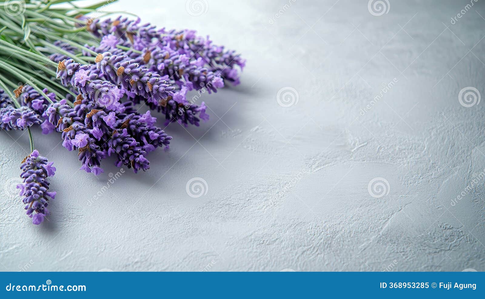 Lavender Oil And Lavender Sprigs On Blurred Green Background.Base ...