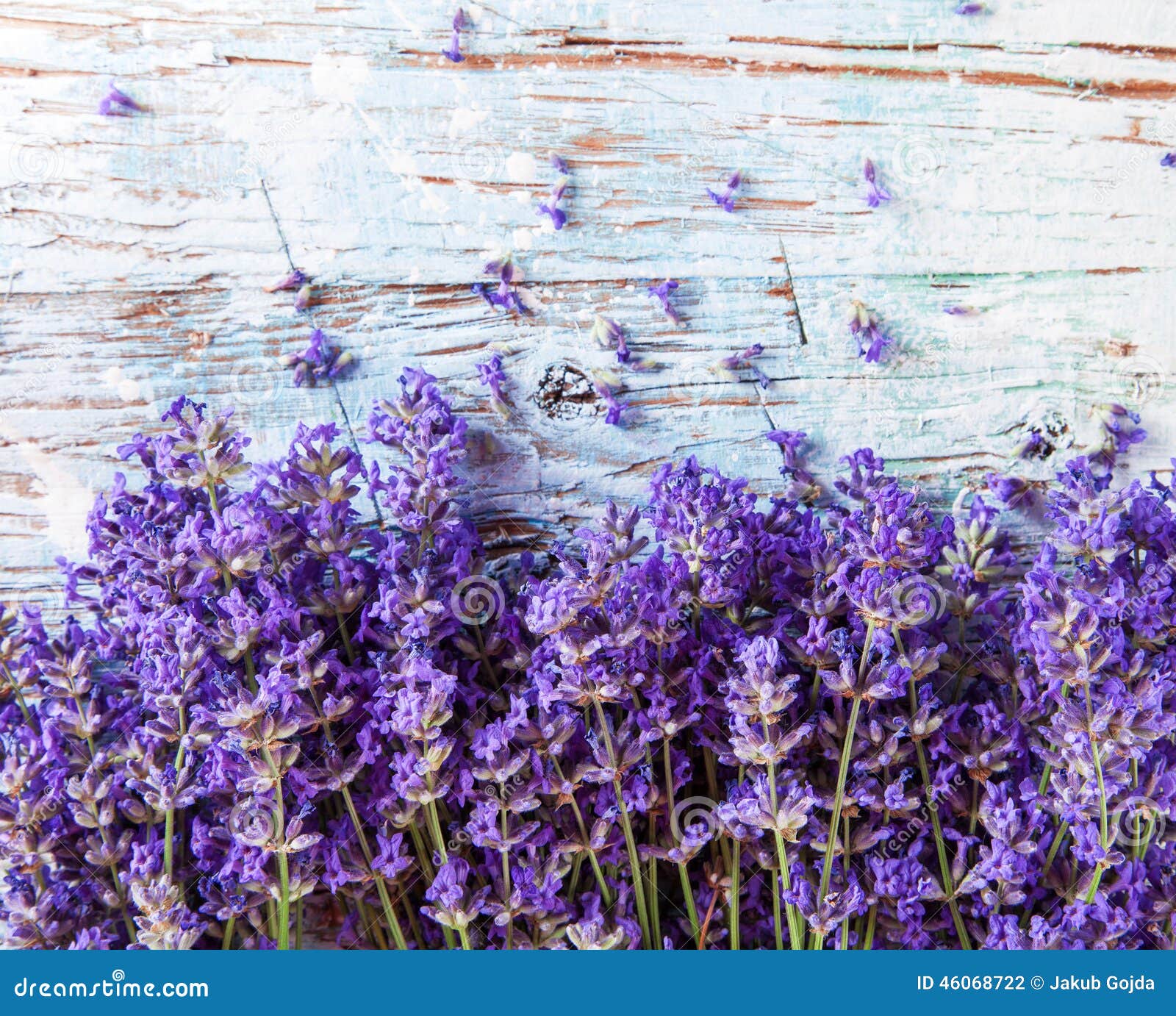 Fresh lavender on wood stock photo. Image of coloured - 46068722