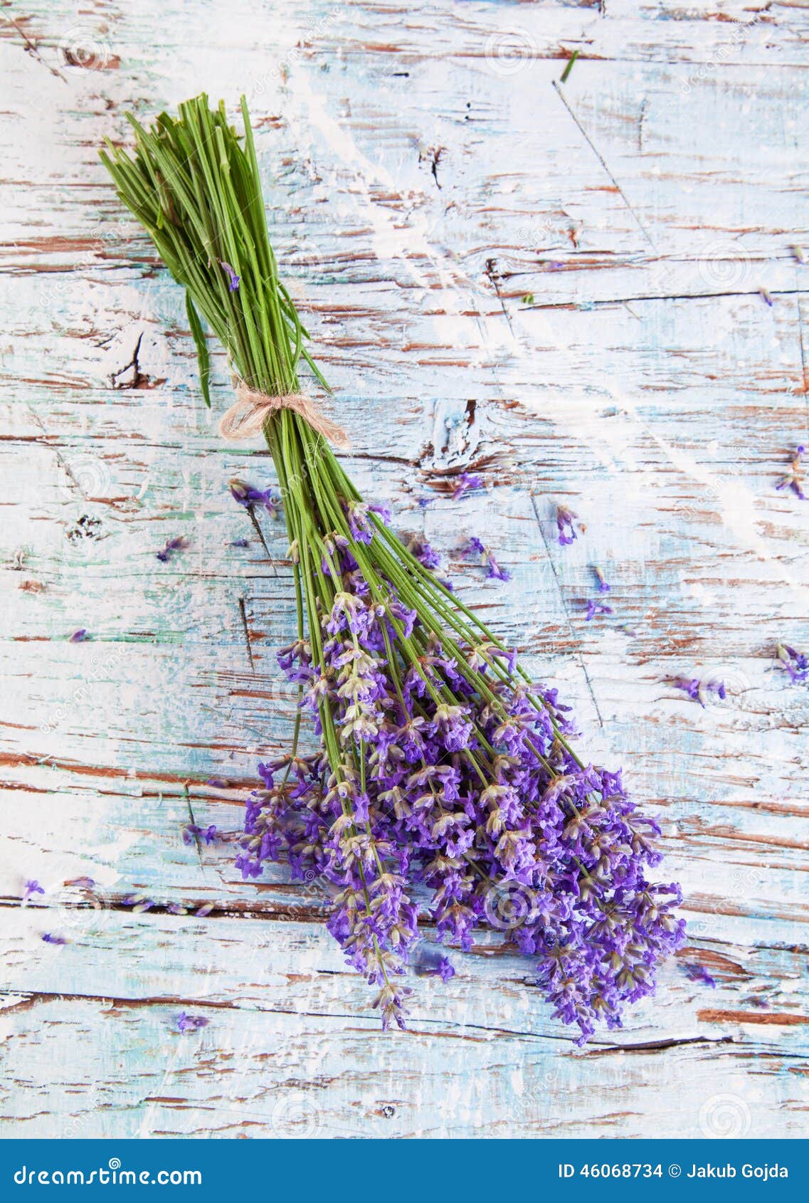 Fresh lavender on wood stock photo. Image of background - 46068734