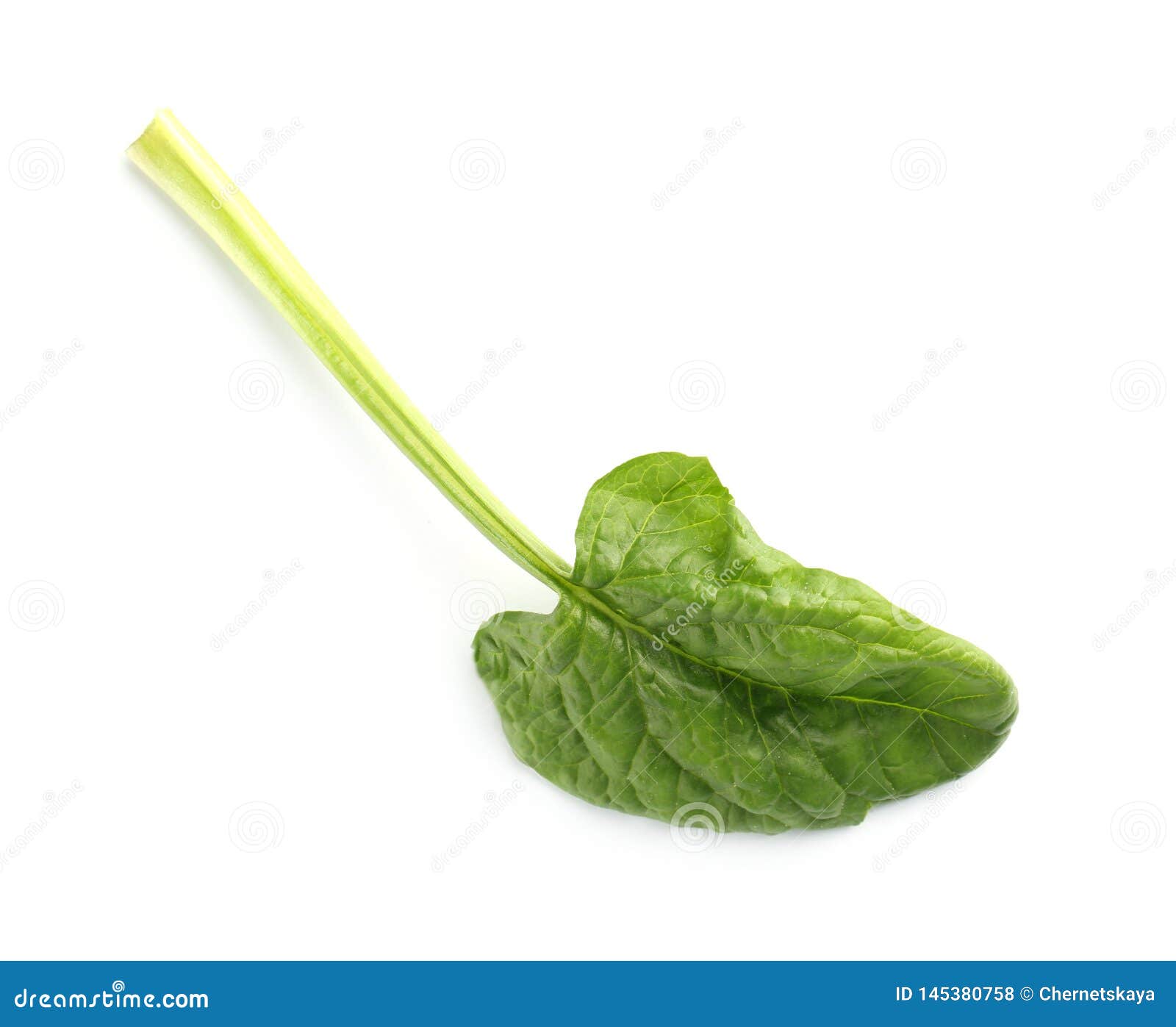 Fresh Leaf of Spinach Isolated on White Stock Photo - Image of product ...