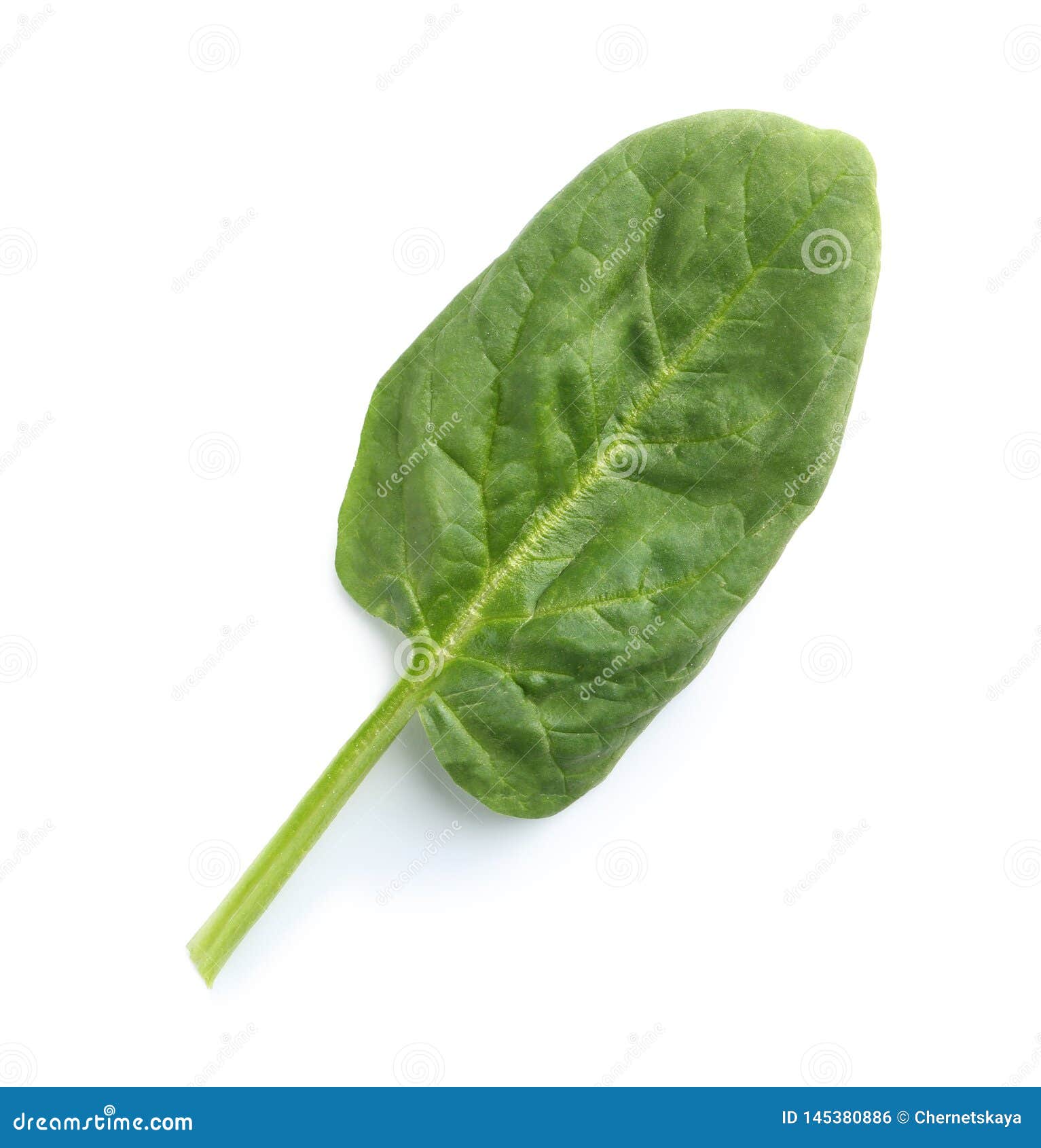 Fresh Leaf of Spinach Isolated on White Stock Photo - Image of leaf ...