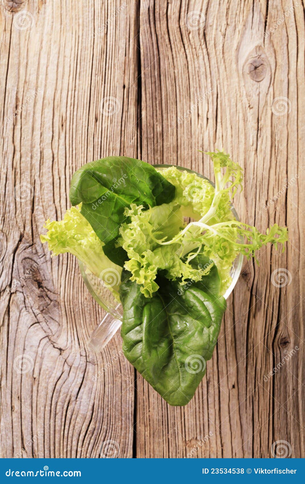 Fresh leaf vegetables stock photo. Image of dish, salad - 23534538