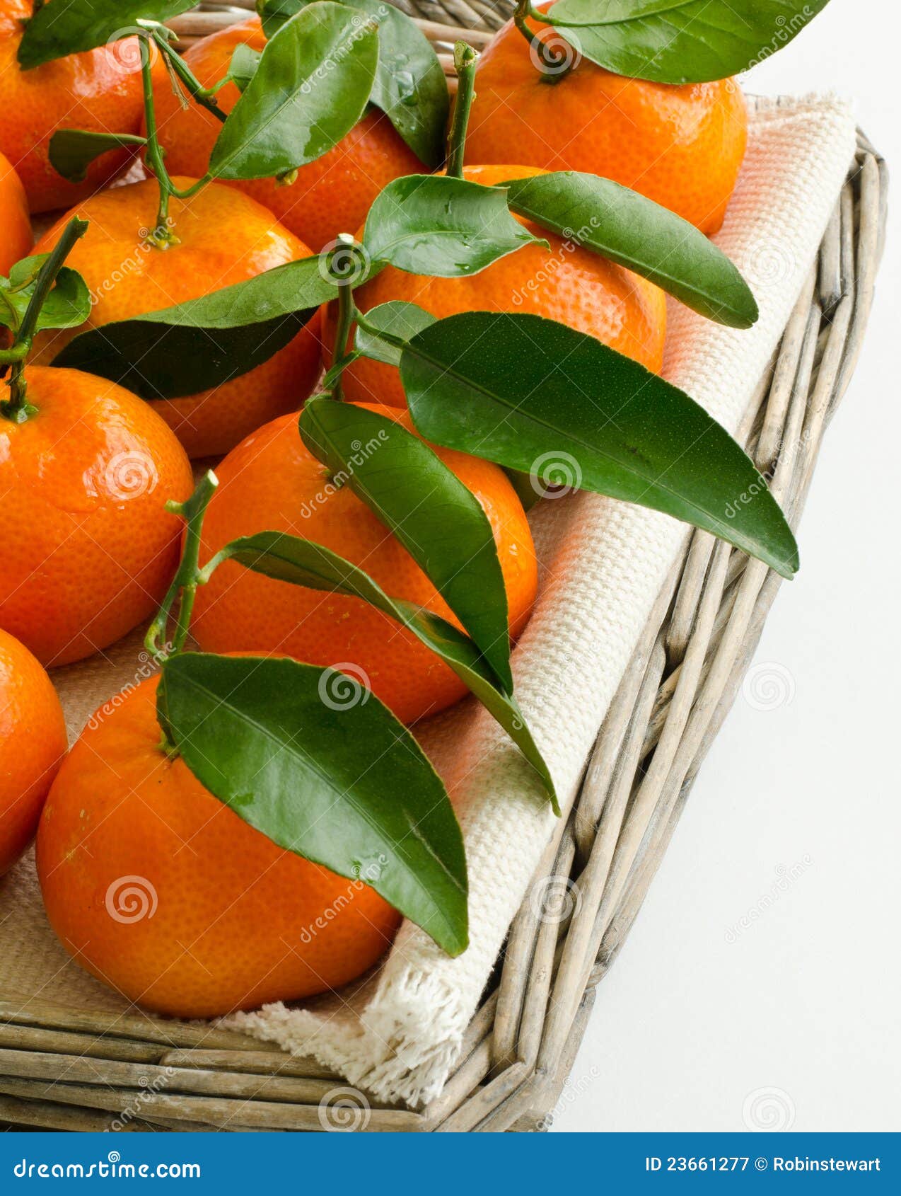 Fresh leafy clementines stock image. Image of balance - 23661277