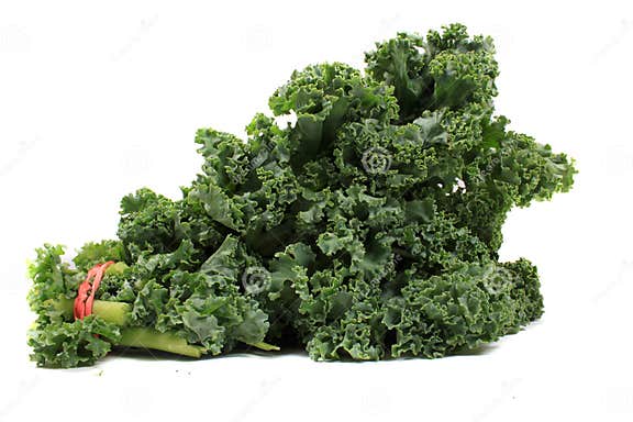Fresh leafy kale stock image. Image of food, background - 21357131