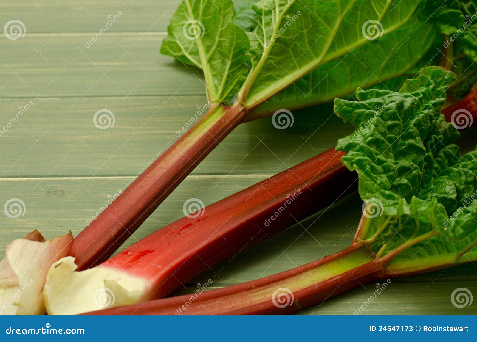 Fresh leafy rhubarb stock image. Image of nutrition, pudding - 24547173
