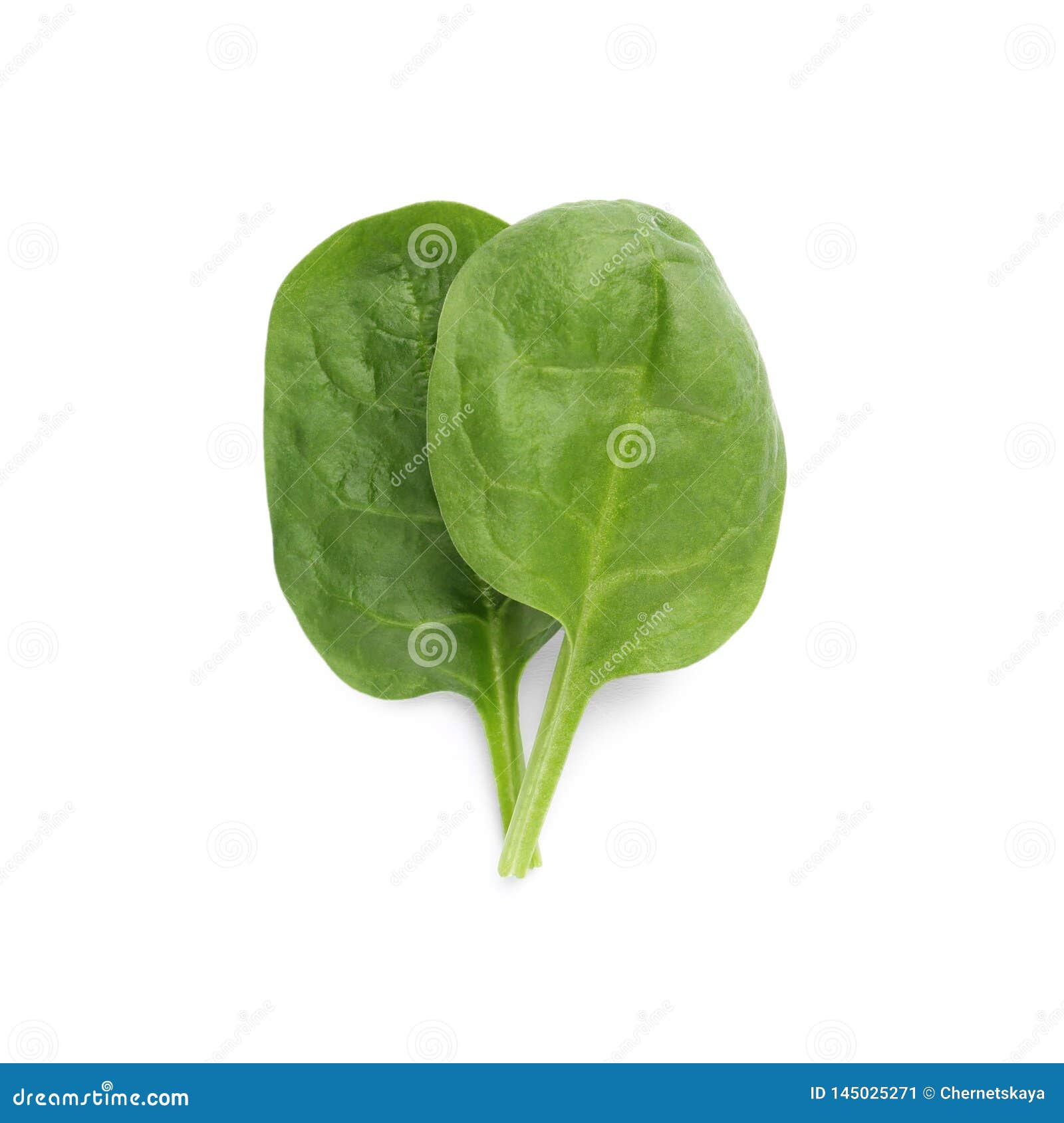 Fresh Leaves of Spinach Isolated on White, Stock Image - Image of ...