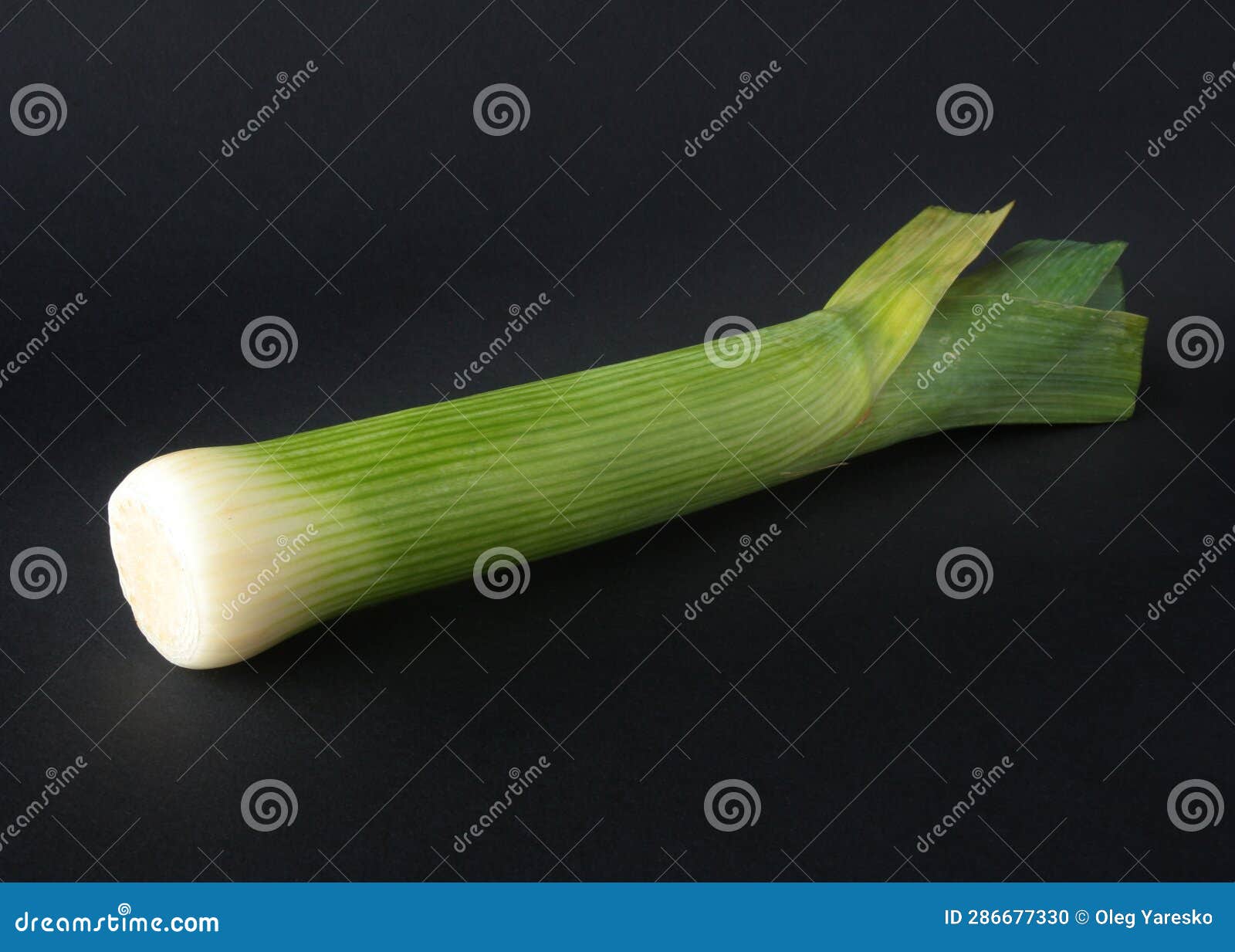 Fresh Leek on a Black Background Stock Photo - Image of freshness ...