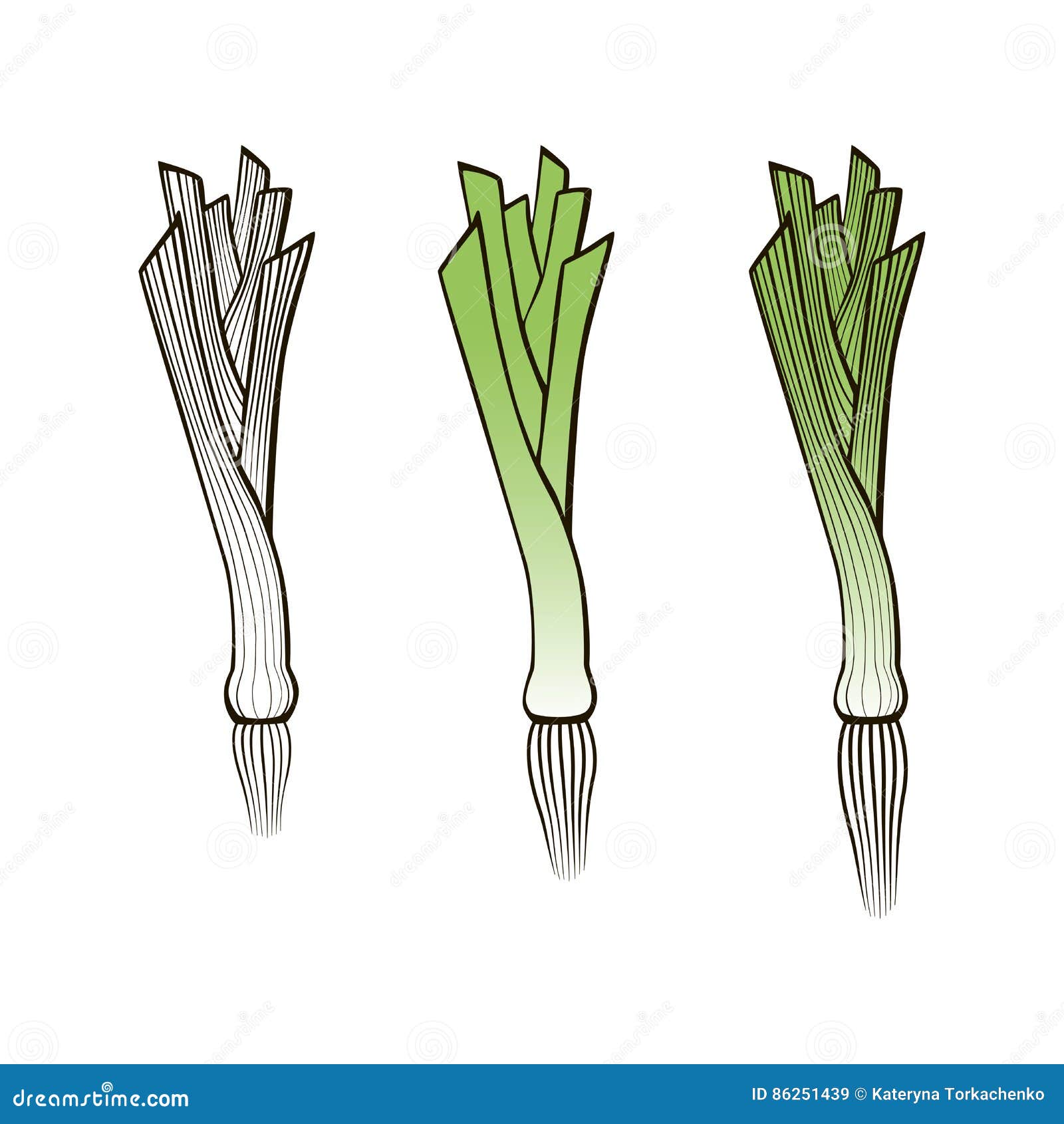 Fresh Leek Cartoon Illustration Stock Vector - Illustration of ...