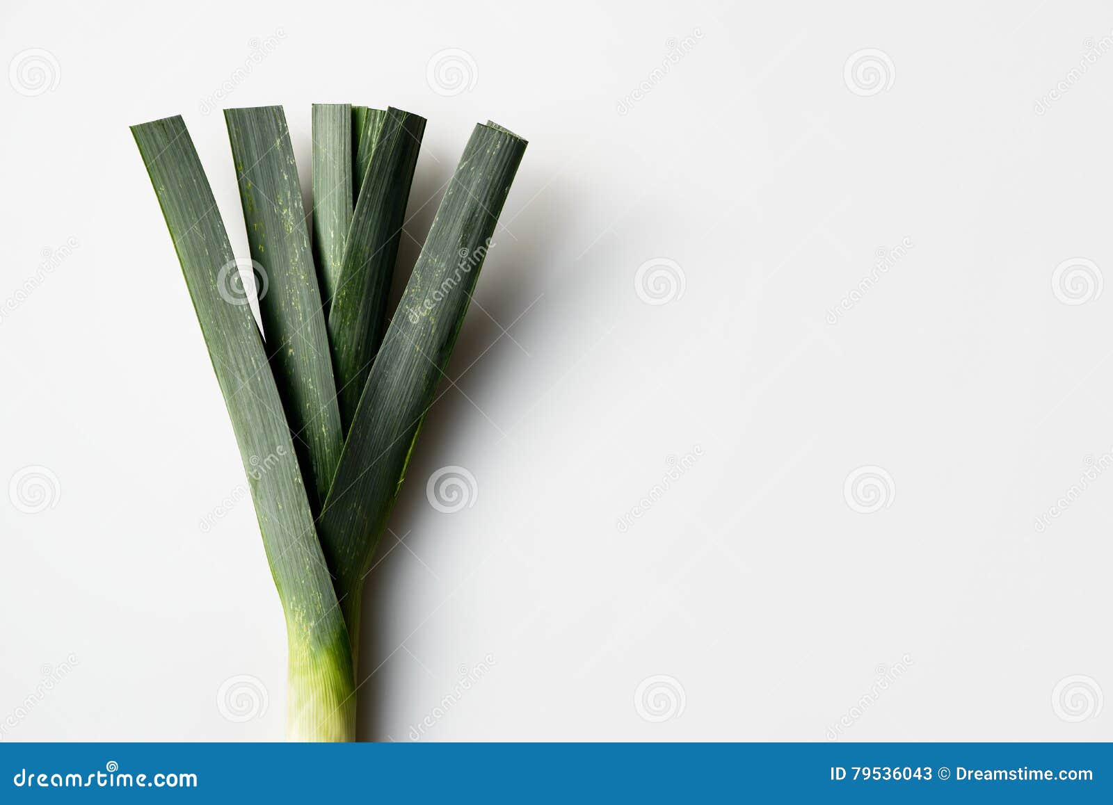 Fresh Leek, Green Leaves on White Background Stock Illustration ...