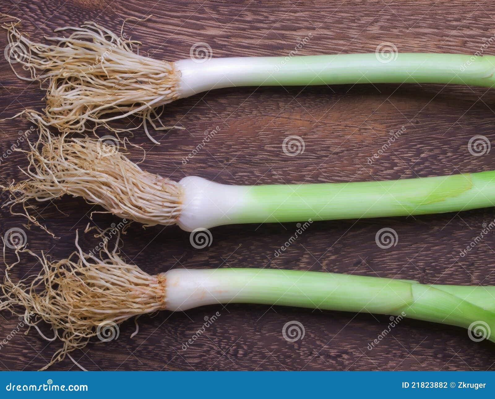 Fresh leeks stock photo. Image of stems, kurrat, food - 21823882