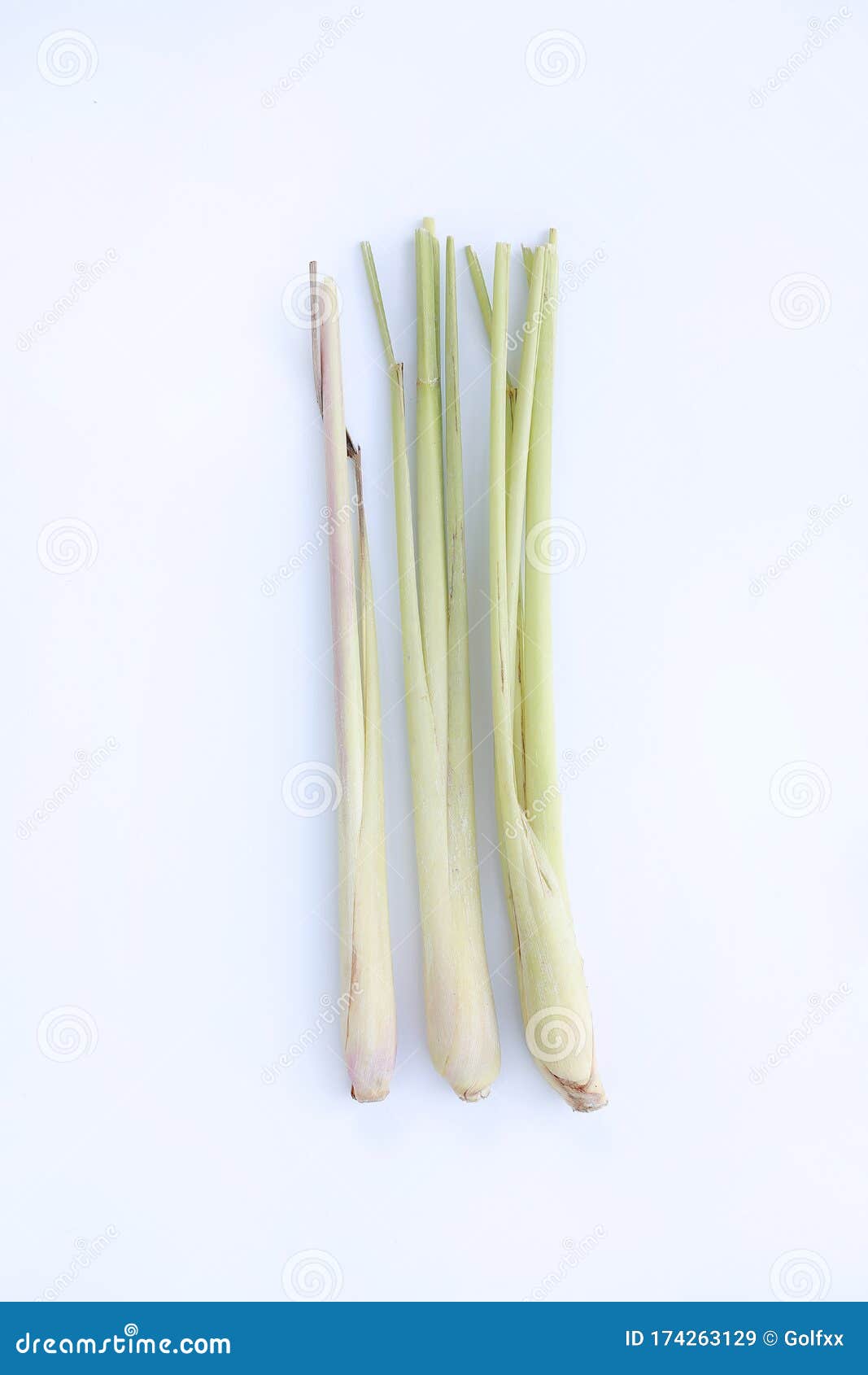 Fresh Lemon Grass on White Background Stock Image - Image of length ...