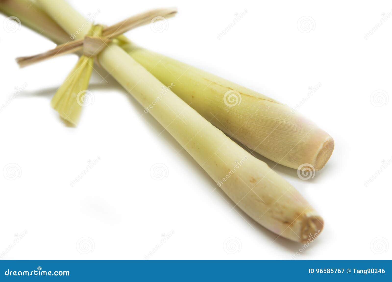Fresh Lemon Grass on White Background Stock Image - Image of stem ...