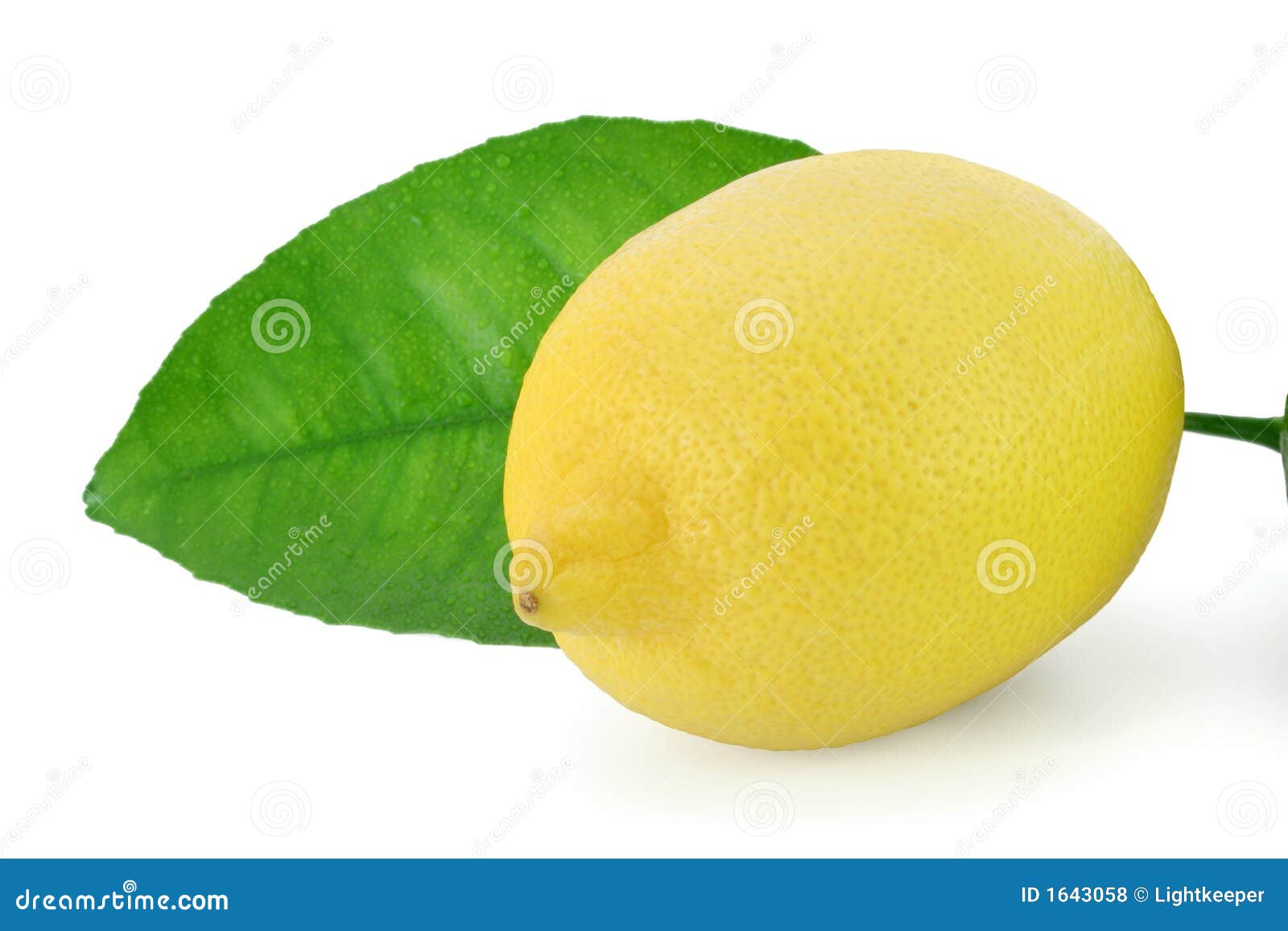 Fresh lemon with leaf stock photo. Image of fresh, drink - 1643058