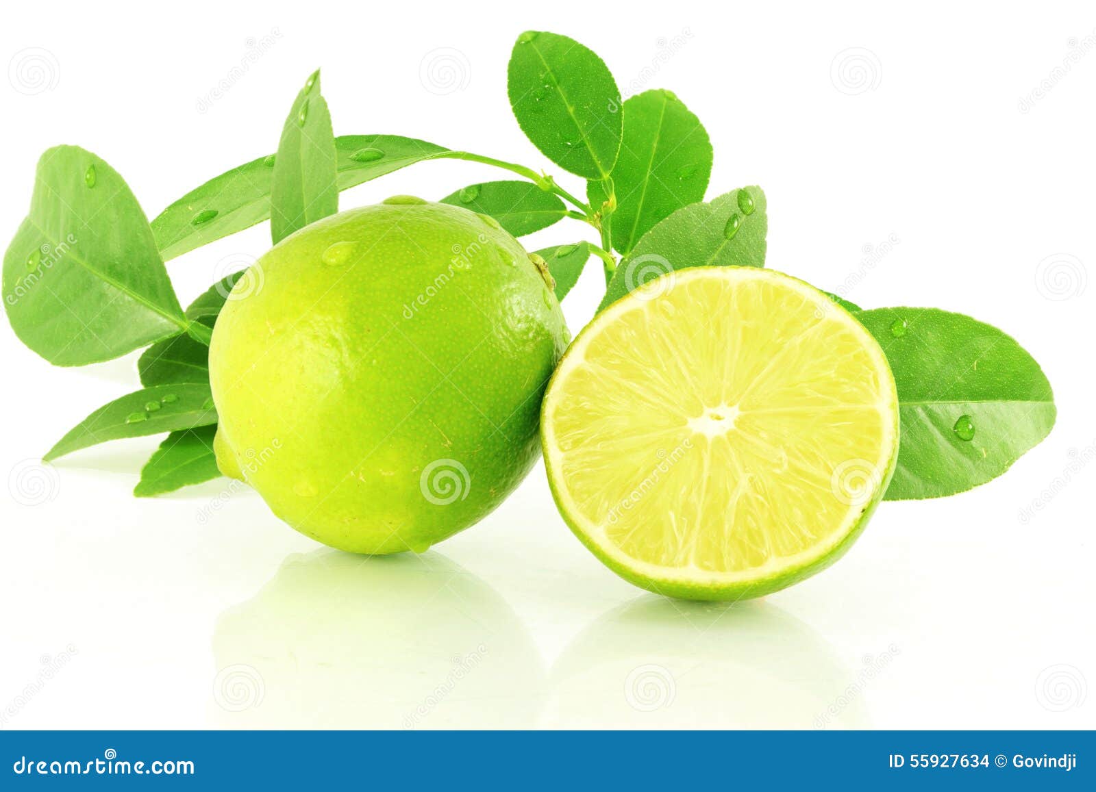 Fresh Lemon Lime Citrus Fruit with Leaves in White Background Stock ...