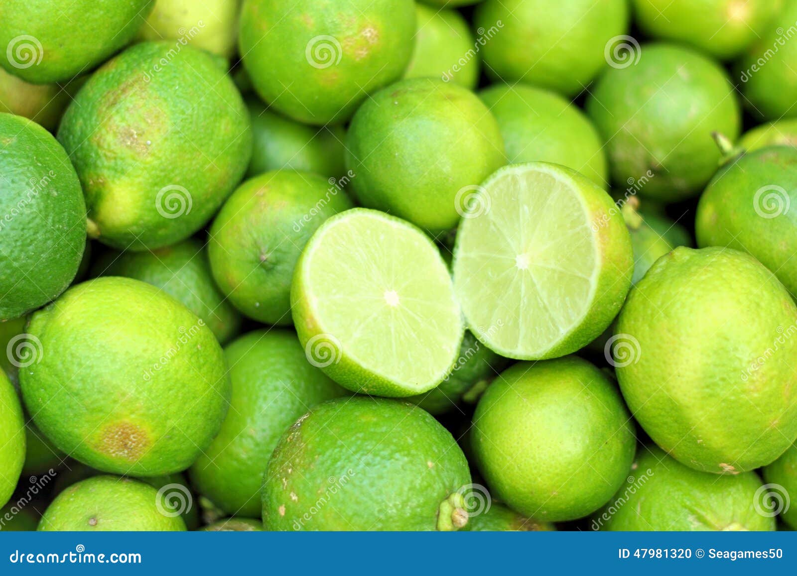 Fresh lemon in the market stock photo. Image of lemon - 47981320