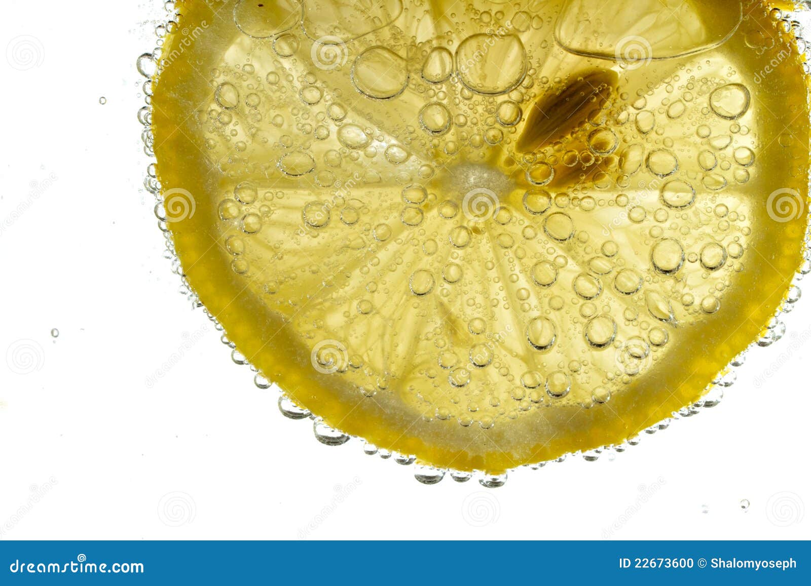 Fresh Lemon Slice stock photo. Image of beverage, freshness - 22673600