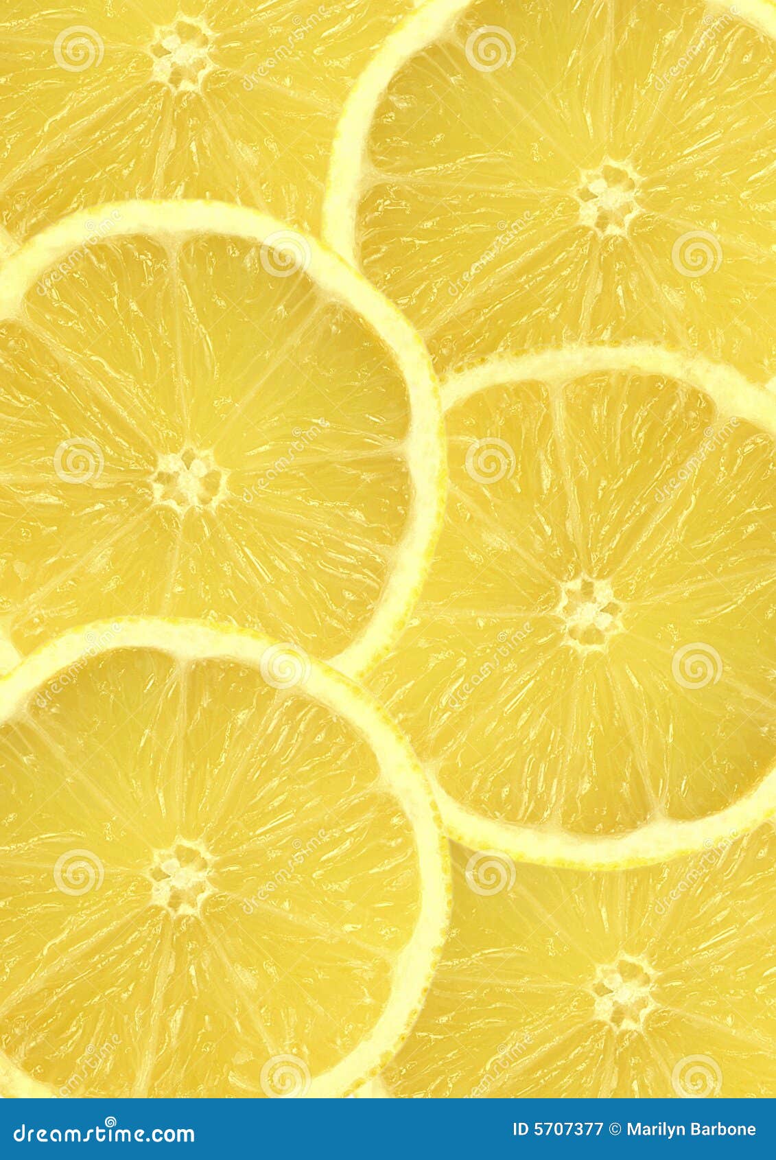Fresh Lemon Slices stock image. Image of design, freshness - 5707377
