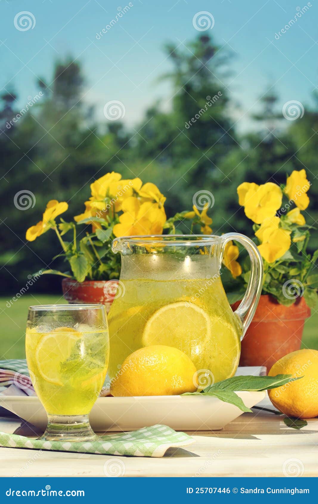 Fresh Lemonade on a Summer Day Stock Photo - Image of food, nature ...