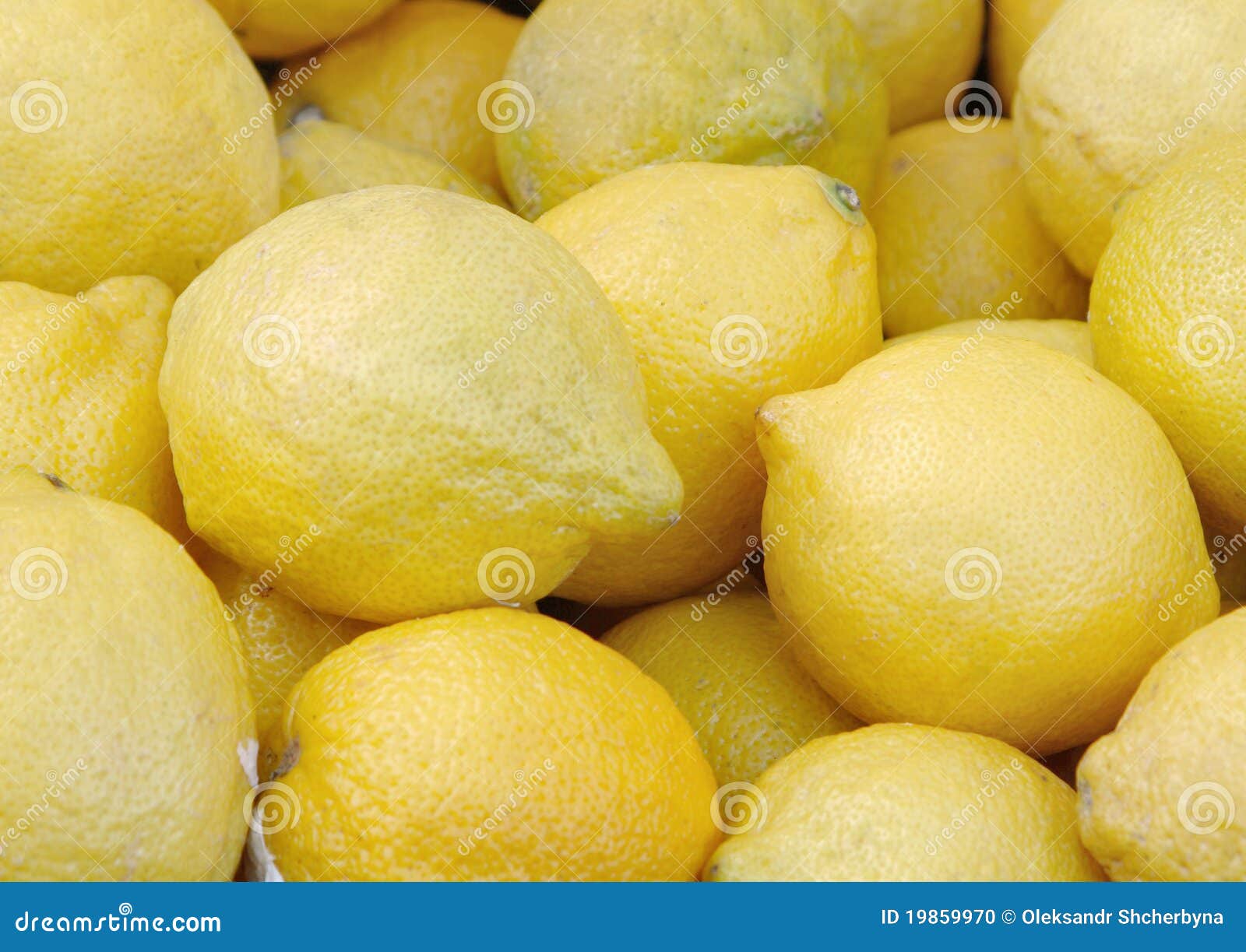 Fresh lemons stock photo. Image of healthy, yellow, lifestyle - 19859970