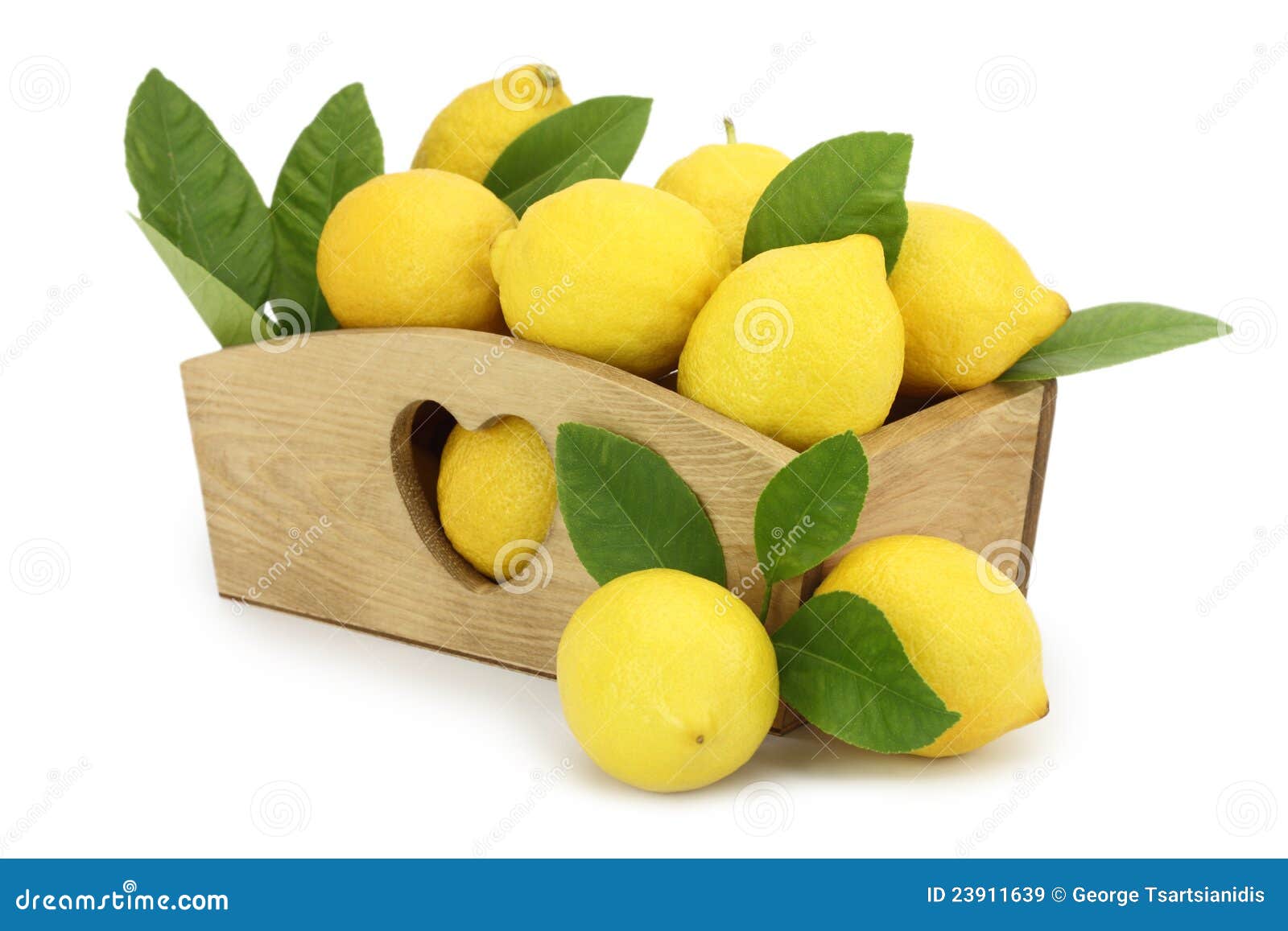Fresh lemons stock image. Image of food, isolated, fruit - 23911639