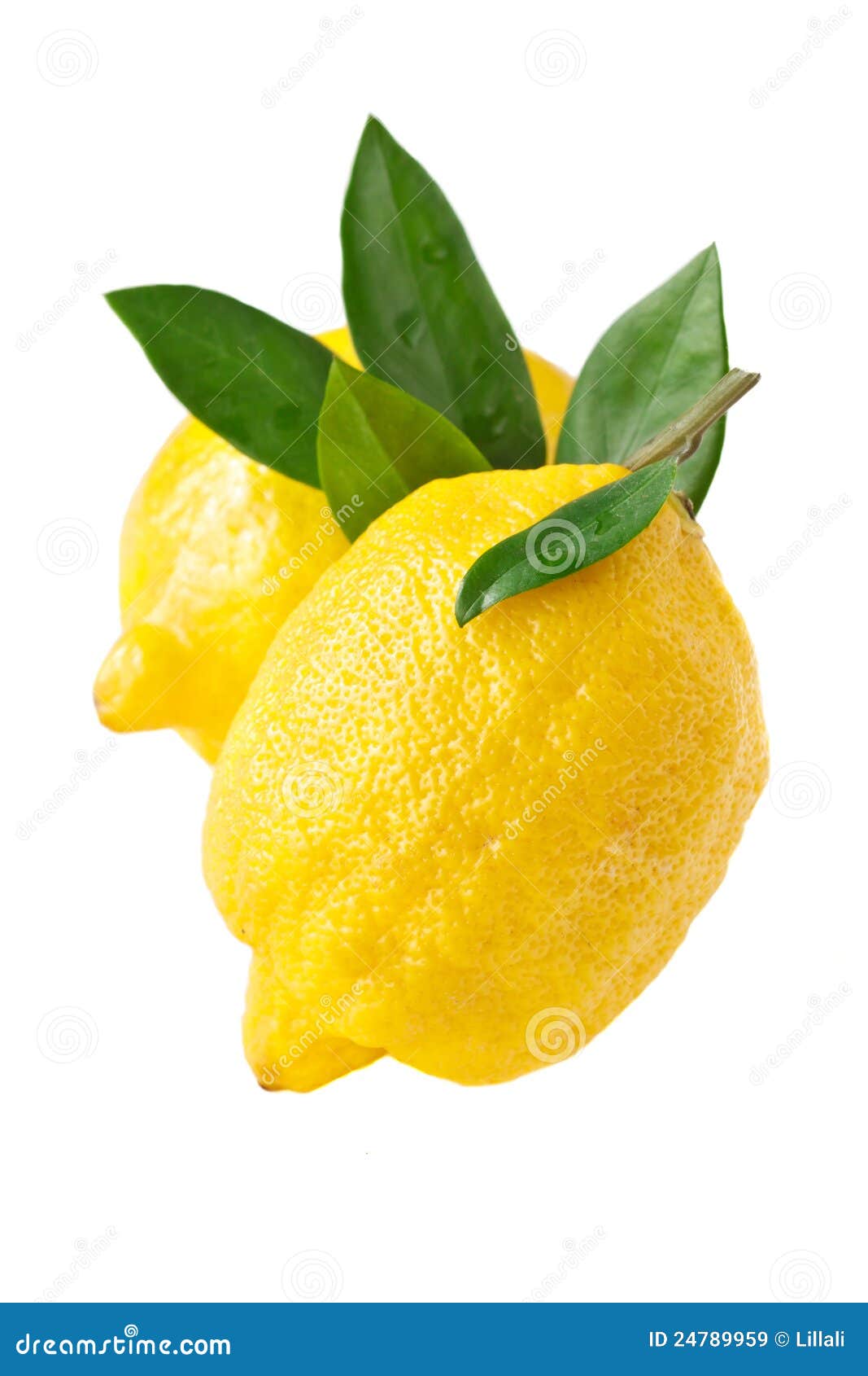Fresh lemons. stock image. Image of citrus, healthy, object - 24789959
