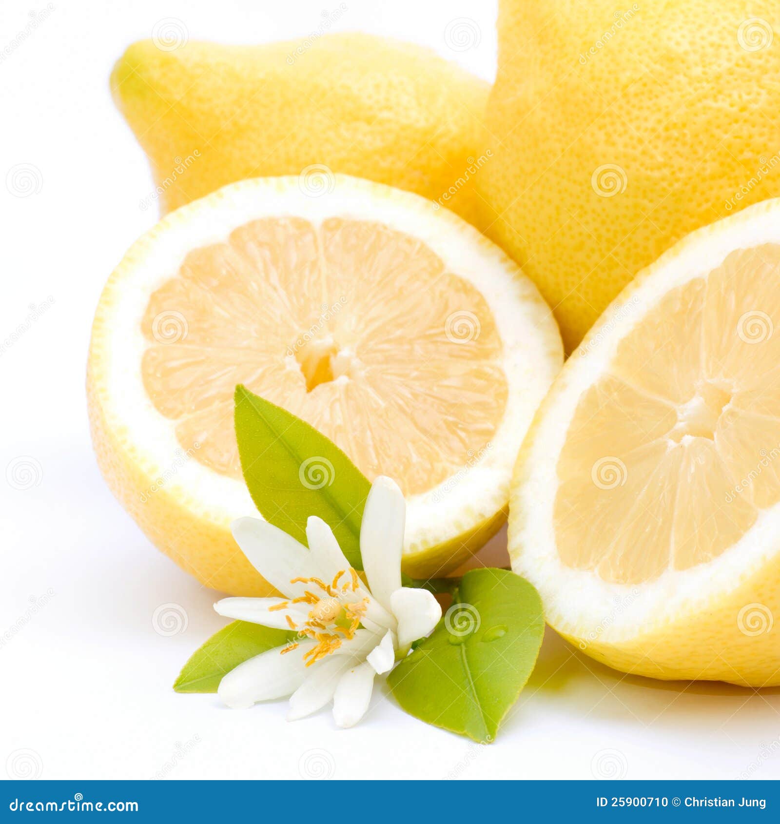 Fresh lemons stock photo. Image of citrus, flower, juice - 25900710