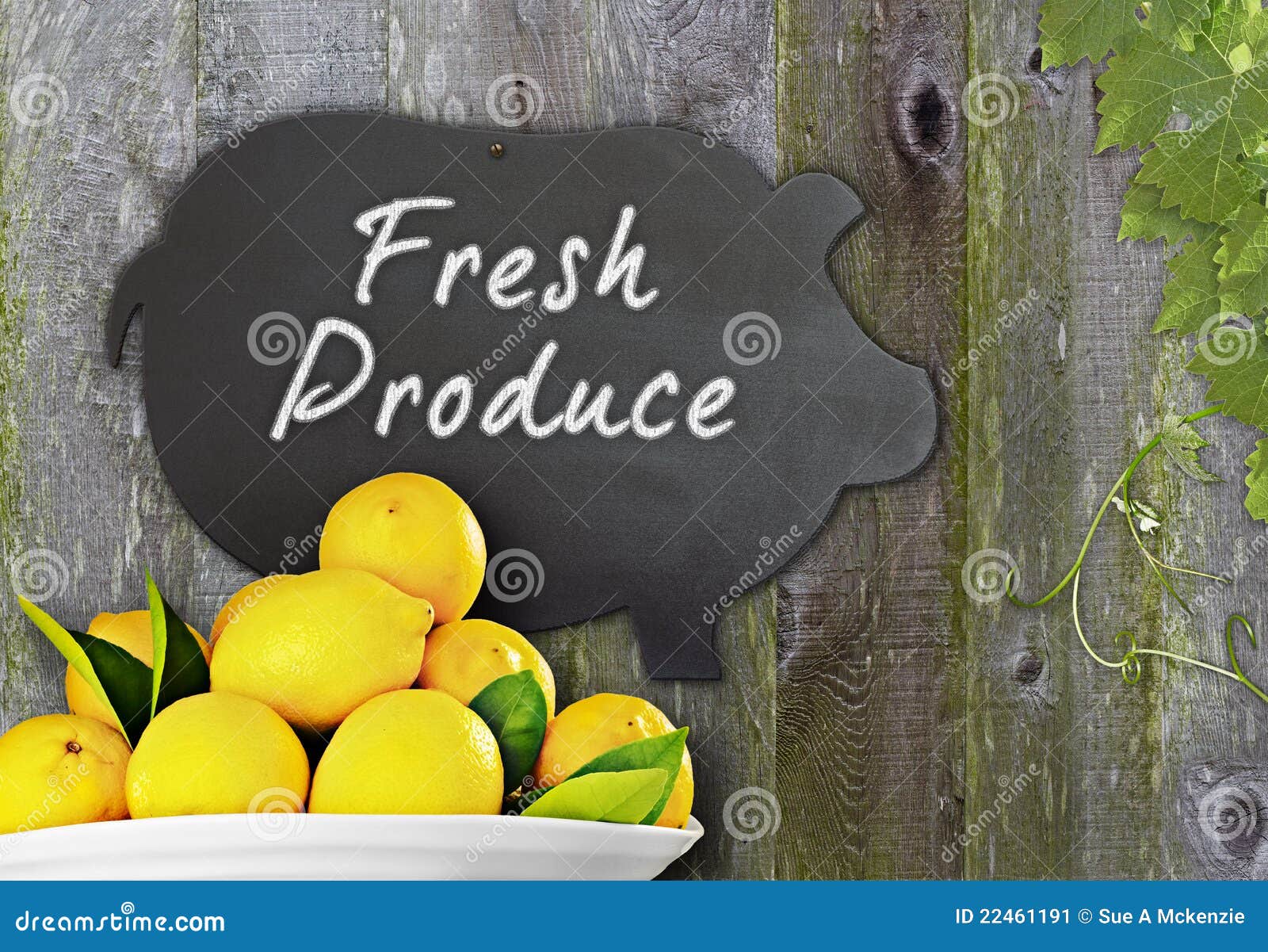 Fresh Lemons & Black Chalkboard Pig Menu Fresh Fru Stock Image - Image ...