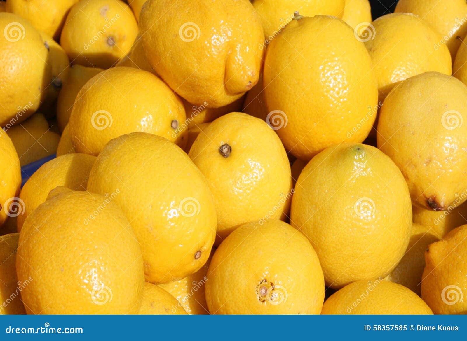 Fresh Lemons stock image. Image of yellow, season, beautiful - 58357585
