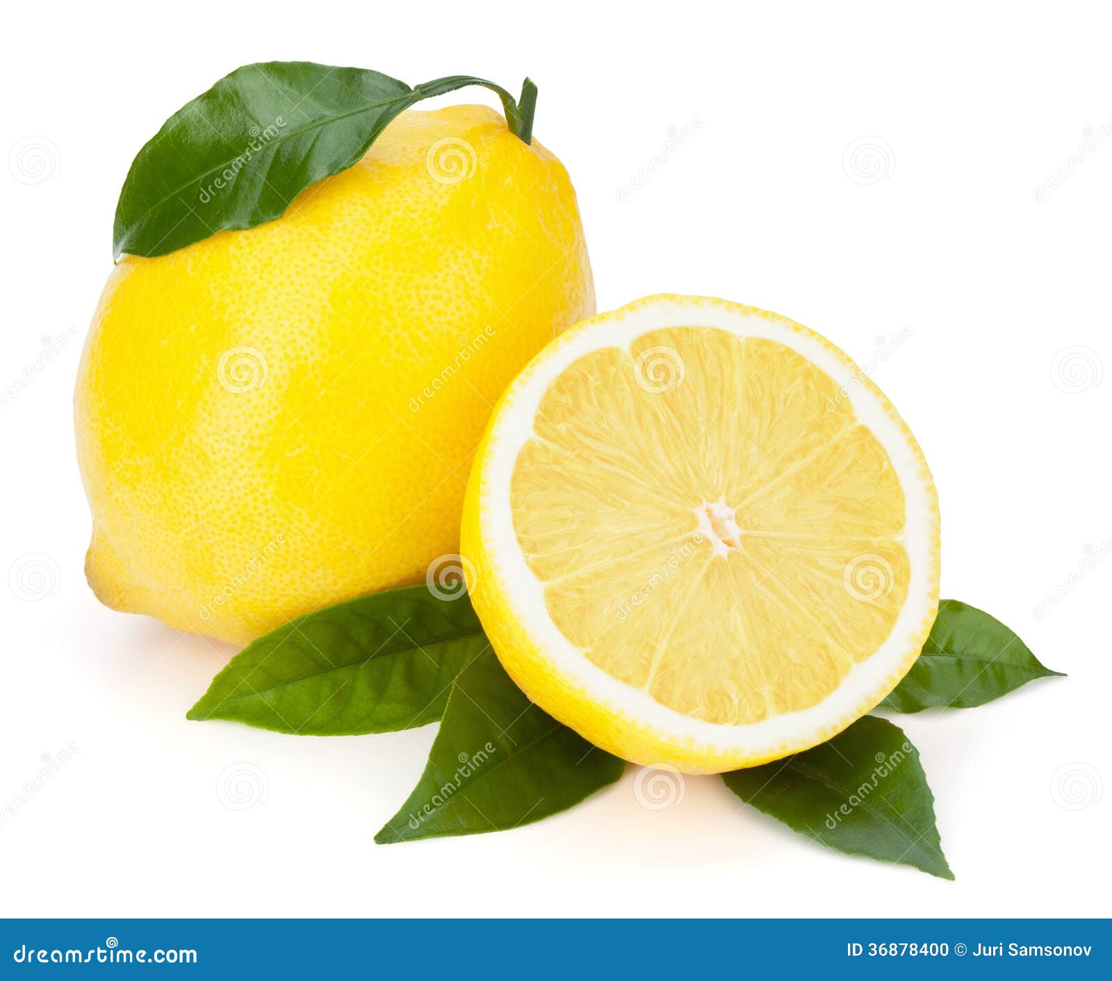 Fresh lemons with leaves. stock photo. Image of path - 36878400