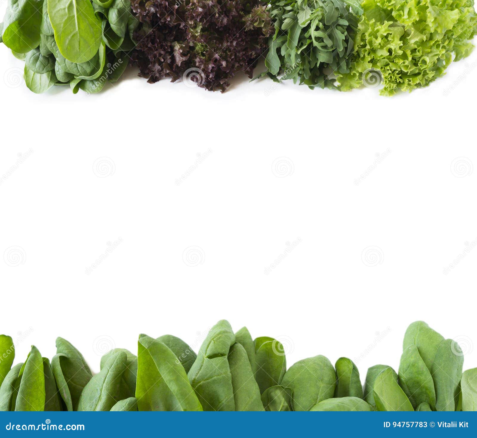 Fresh Lettuce at Border of Image with Copy Space for Text. Stock Image ...