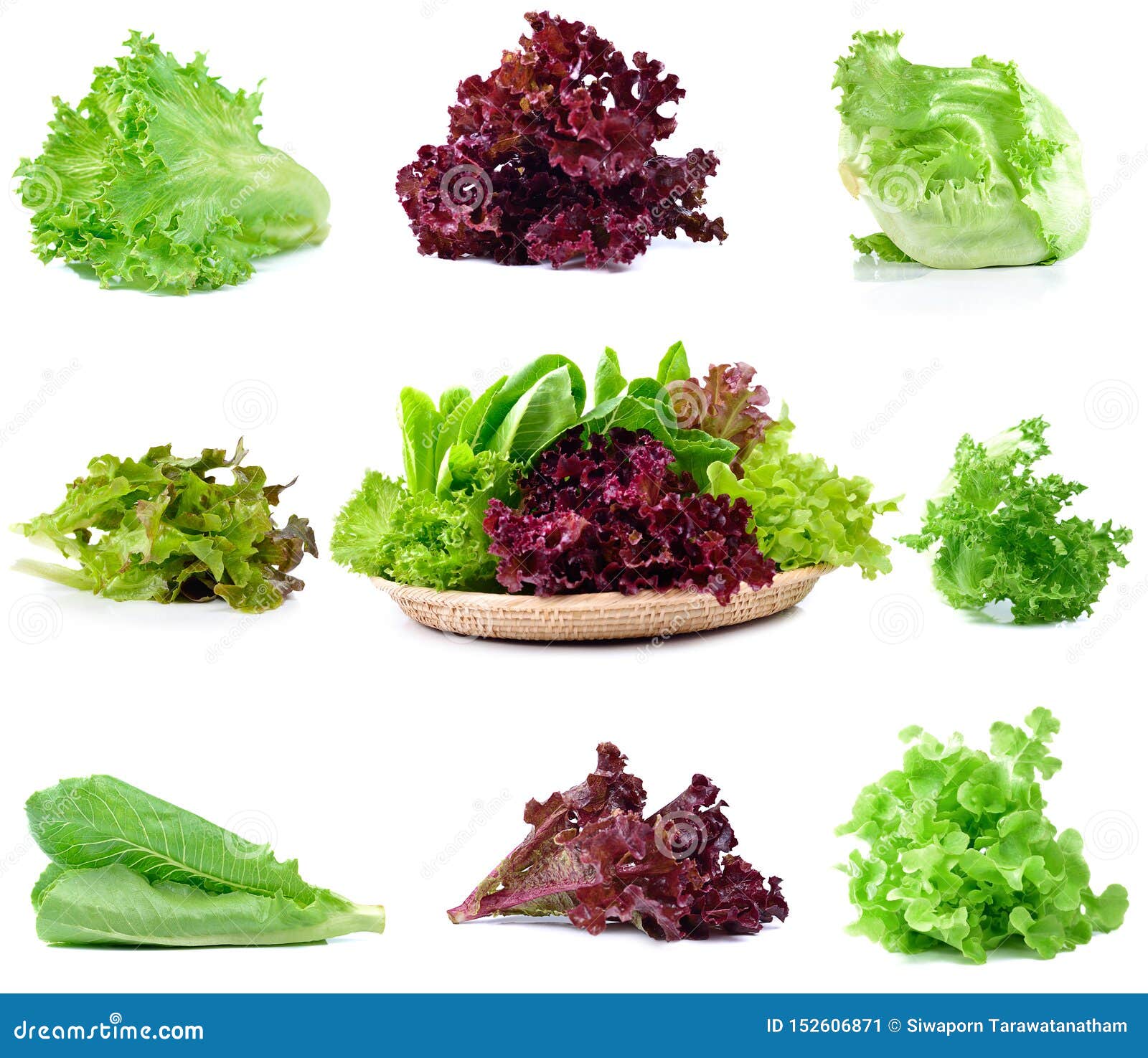 Fresh Lettuce Leaves Isolated on White Stock Image - Image of dinner ...