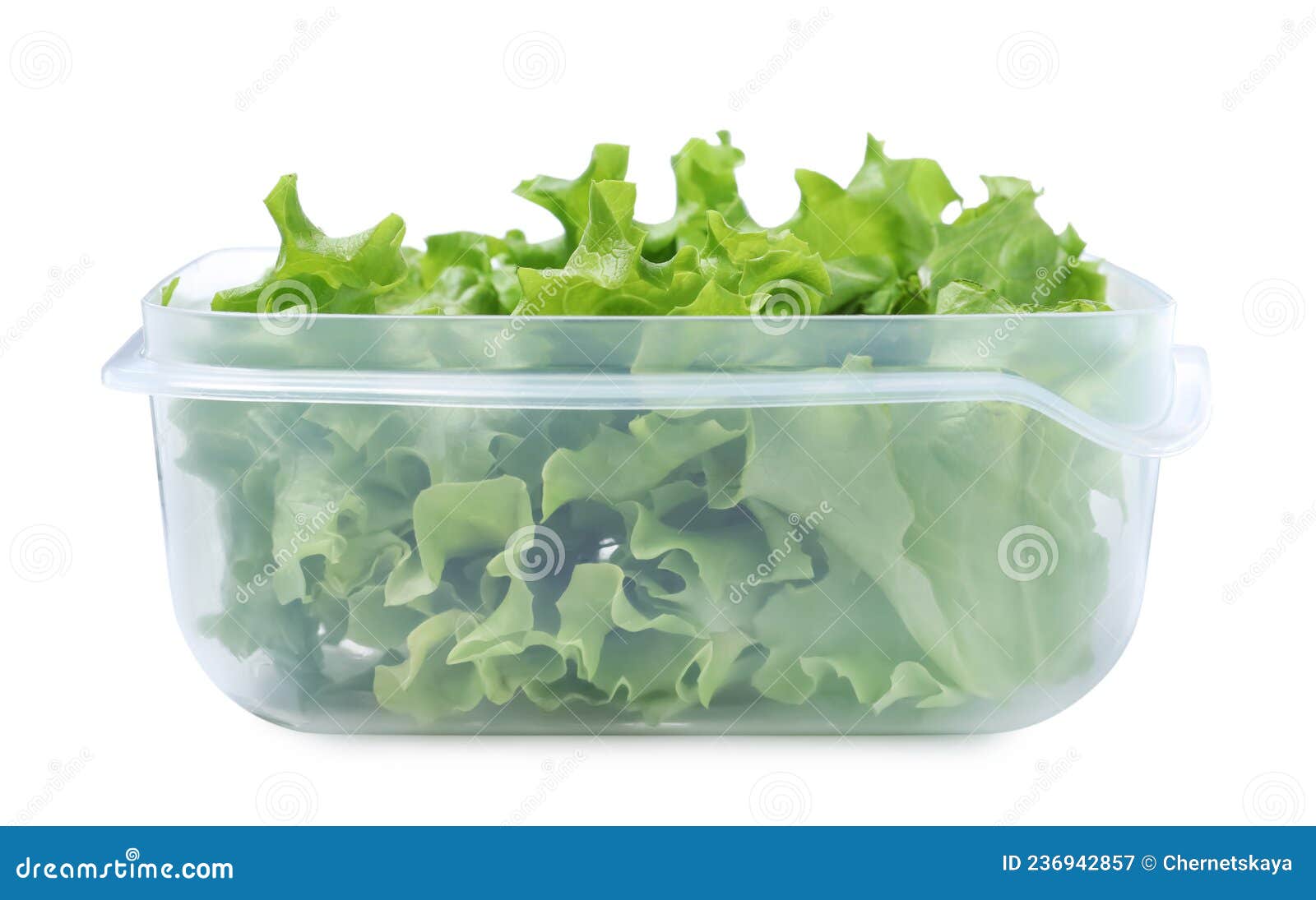 Fresh Lettuce in Plastic Container Isolated on White Stock Image ...