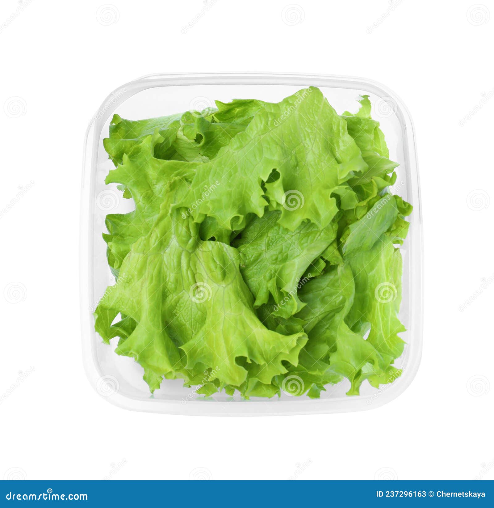 Fresh Lettuce in Plastic Container Isolated on White, Top View Stock ...