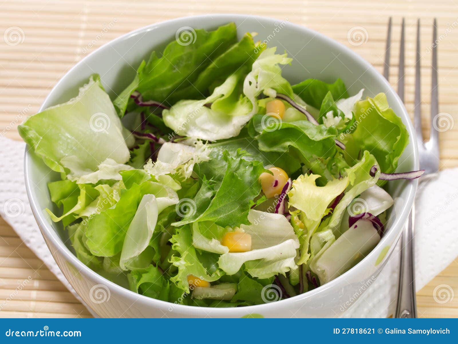 Fresh lettuce on a plate stock image. Image of salad - 27818621