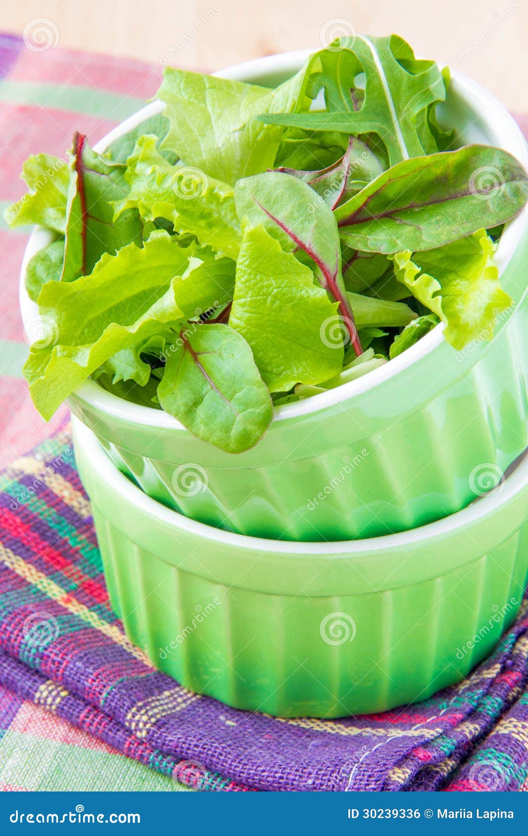 Fresh Lettuce and Rucola in the Green Cup Stock Photo - Image of ...