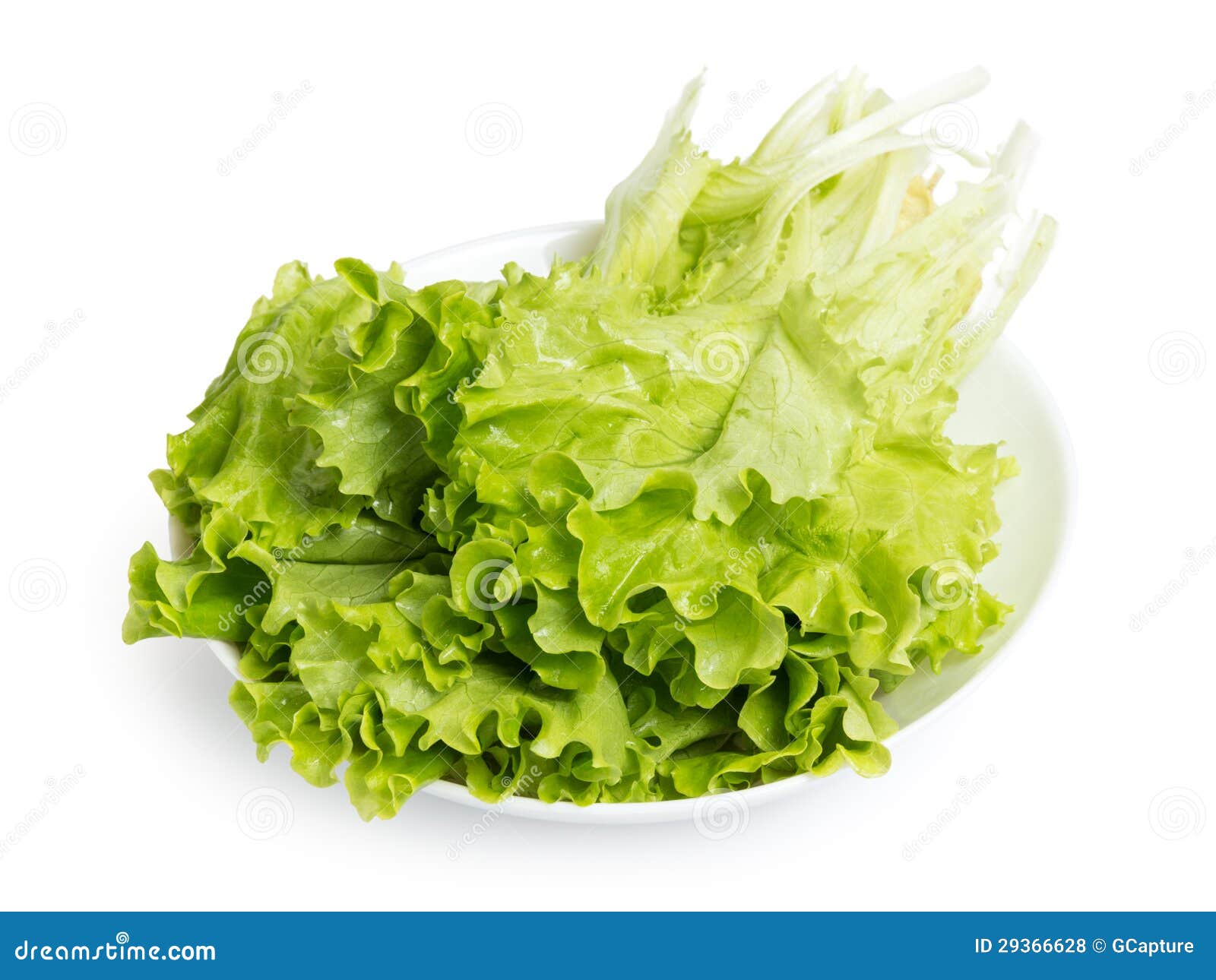 Fresh Lettuce Salad in Bowl Stock Photo - Image of lowcarb, green: 29366628