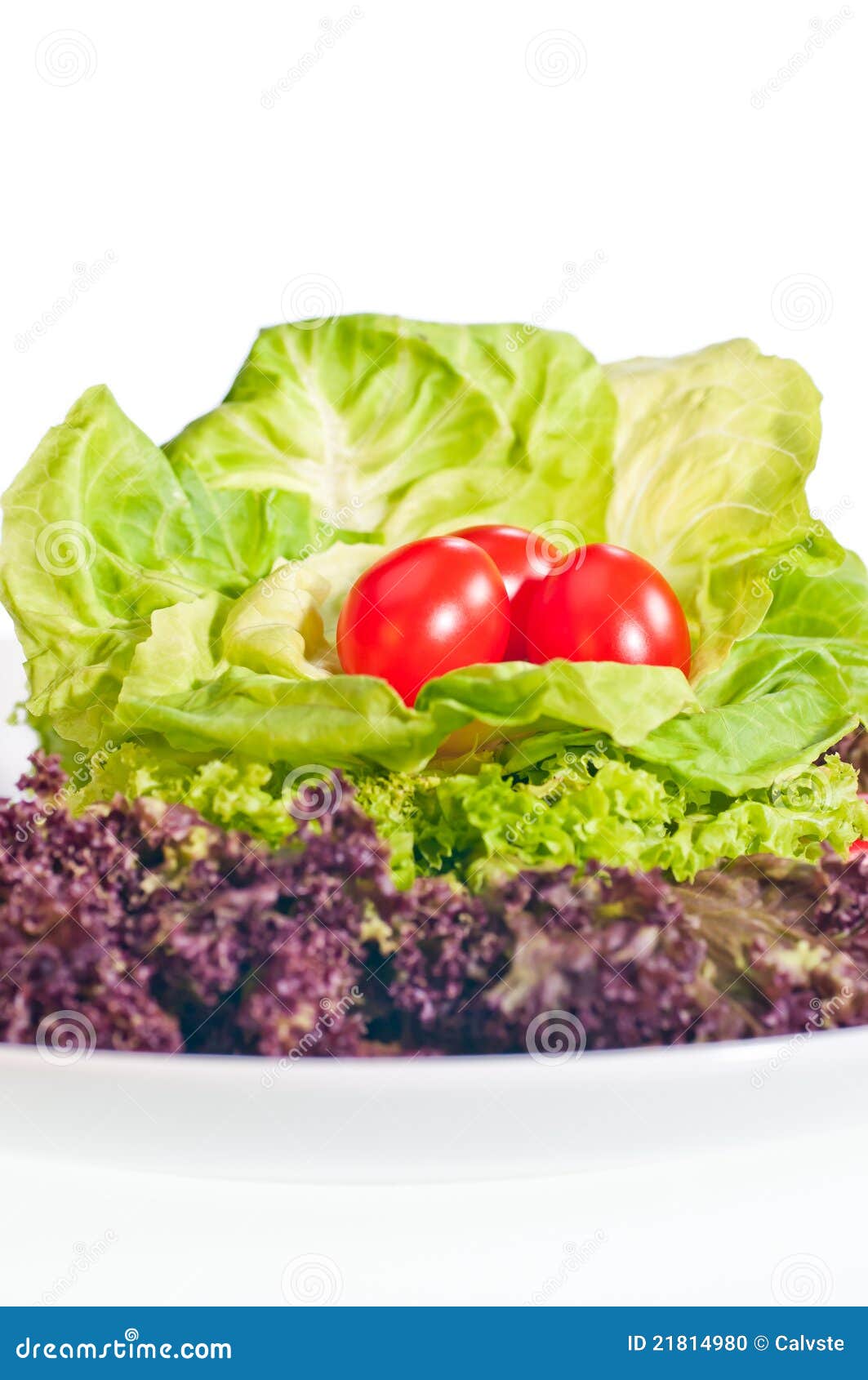 Fresh Lettuce and Tomato on Plate Stock Photo - Image of nutritious ...