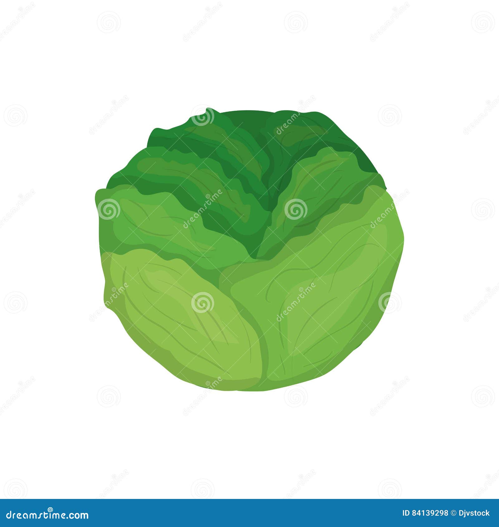 Lettuce Vegetable Logo. Round Linear Of Lettuce Vector Illustration ...
