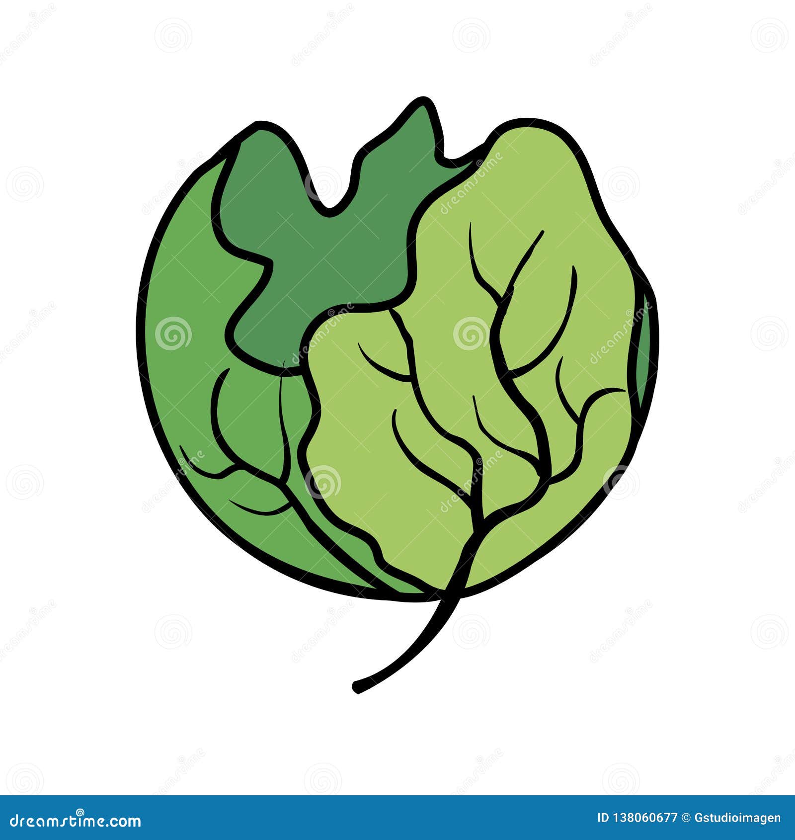 Fresh Lettuce Vegetable Icon Stock Vector - Illustration of vector ...