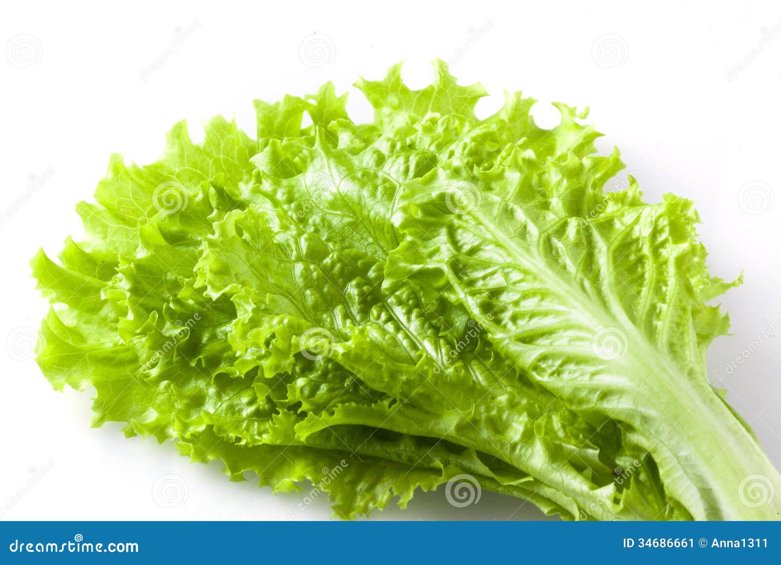Fresh lettuce on white stock image. Image of piece, herb - 34686661