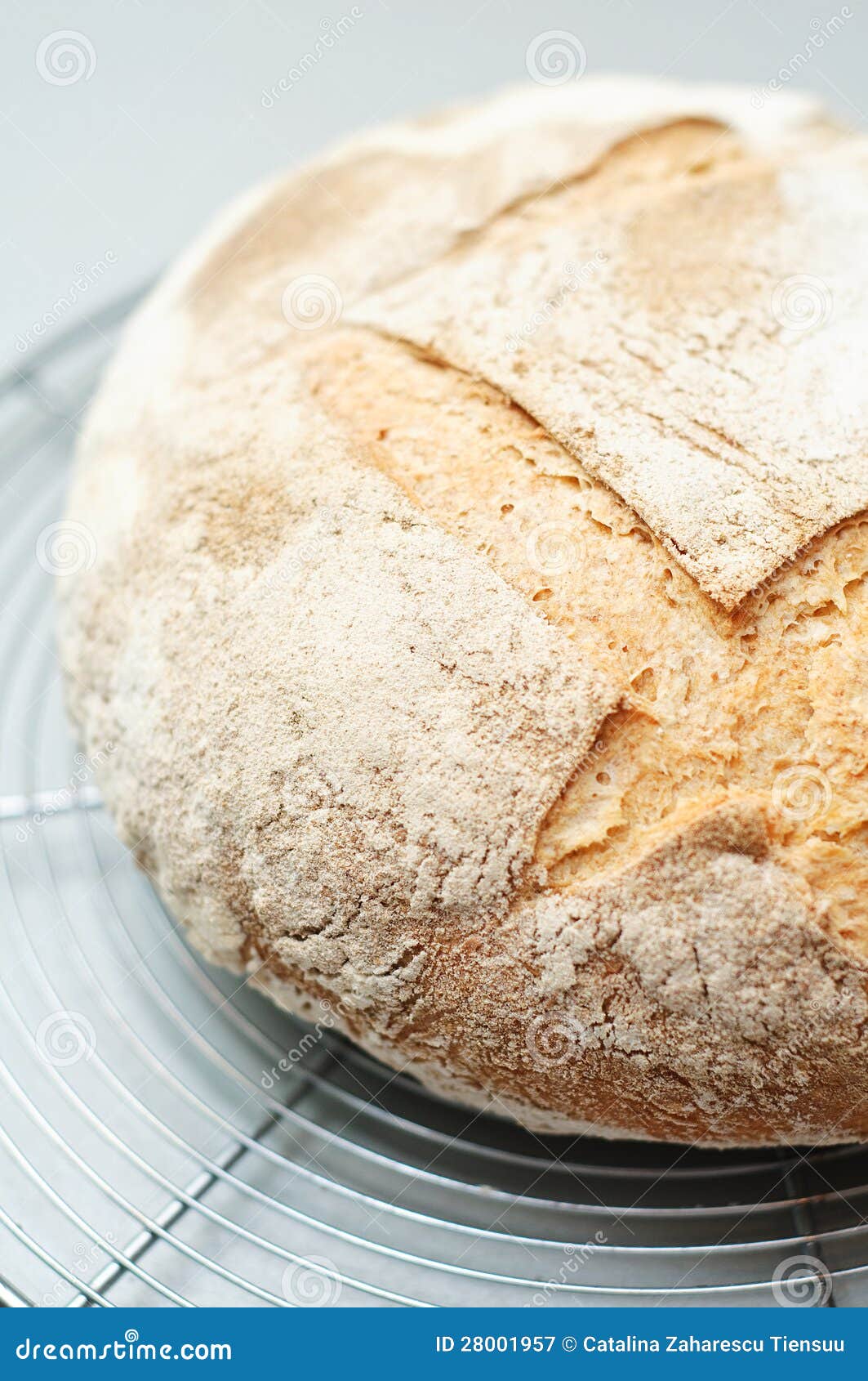 Fresh levain bread stock image. Image of cooling, detail - 28001957